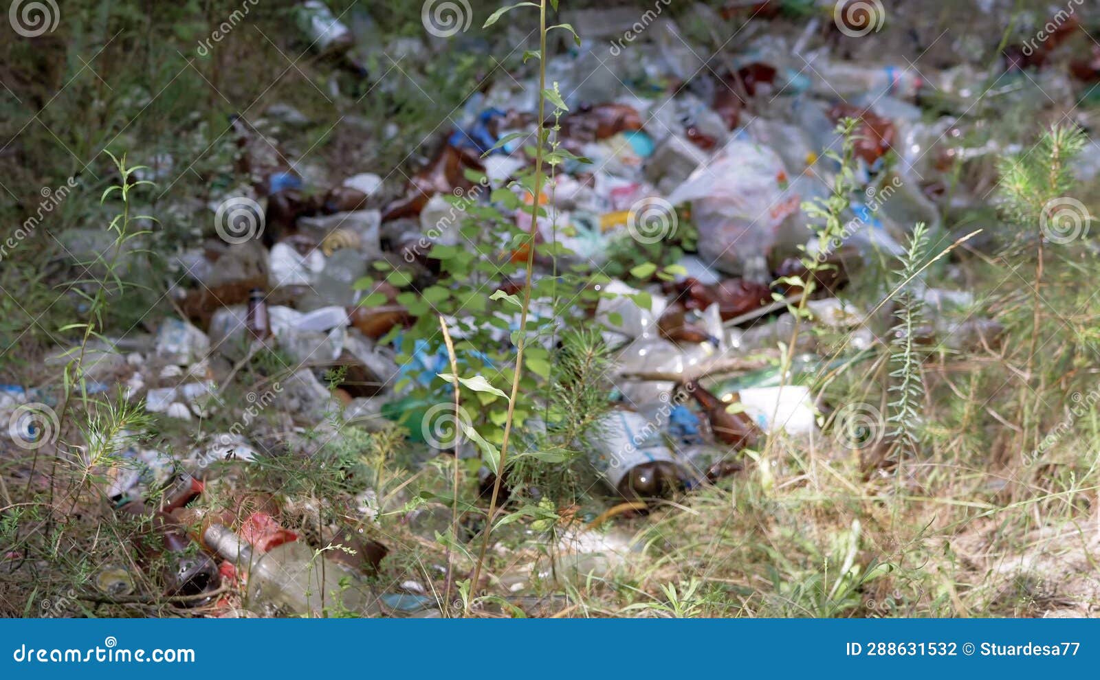 Dump with Discarded Plastic Bottles in Forest in Nature Stock Footage ...