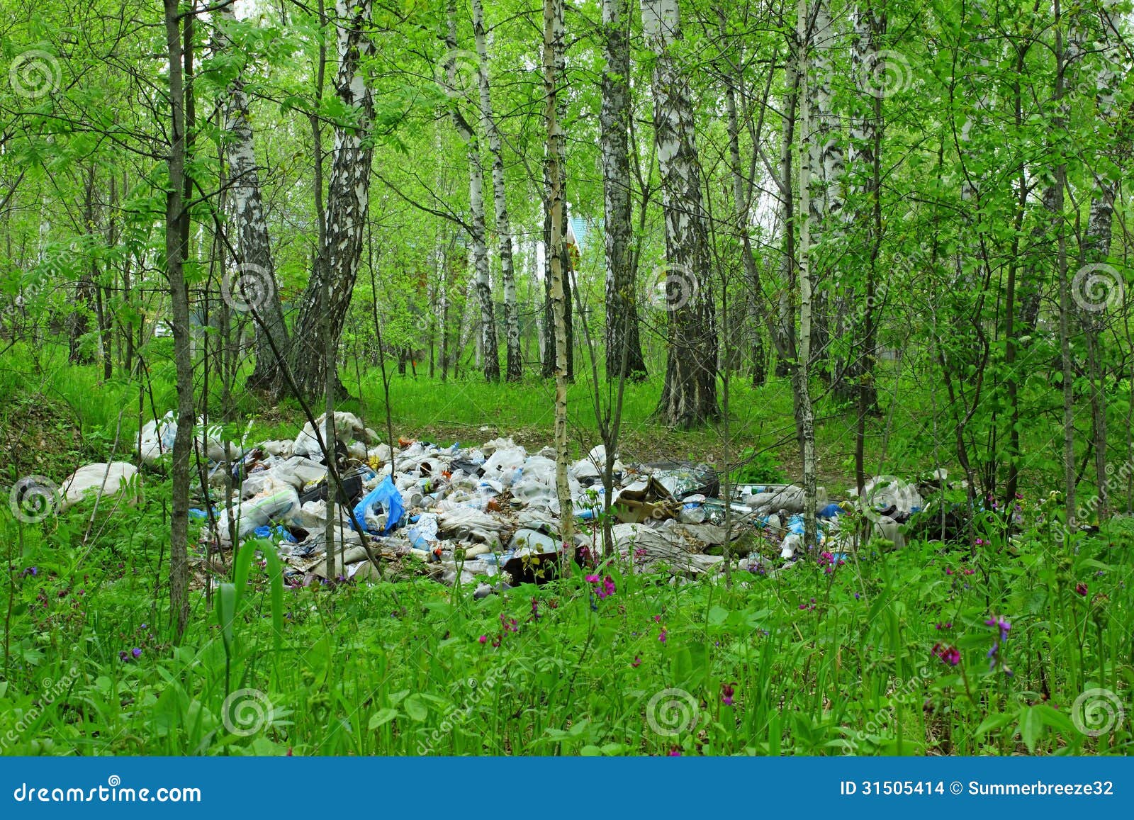 Dump in the forest stock photo. Image of tree, ecology - 31505414