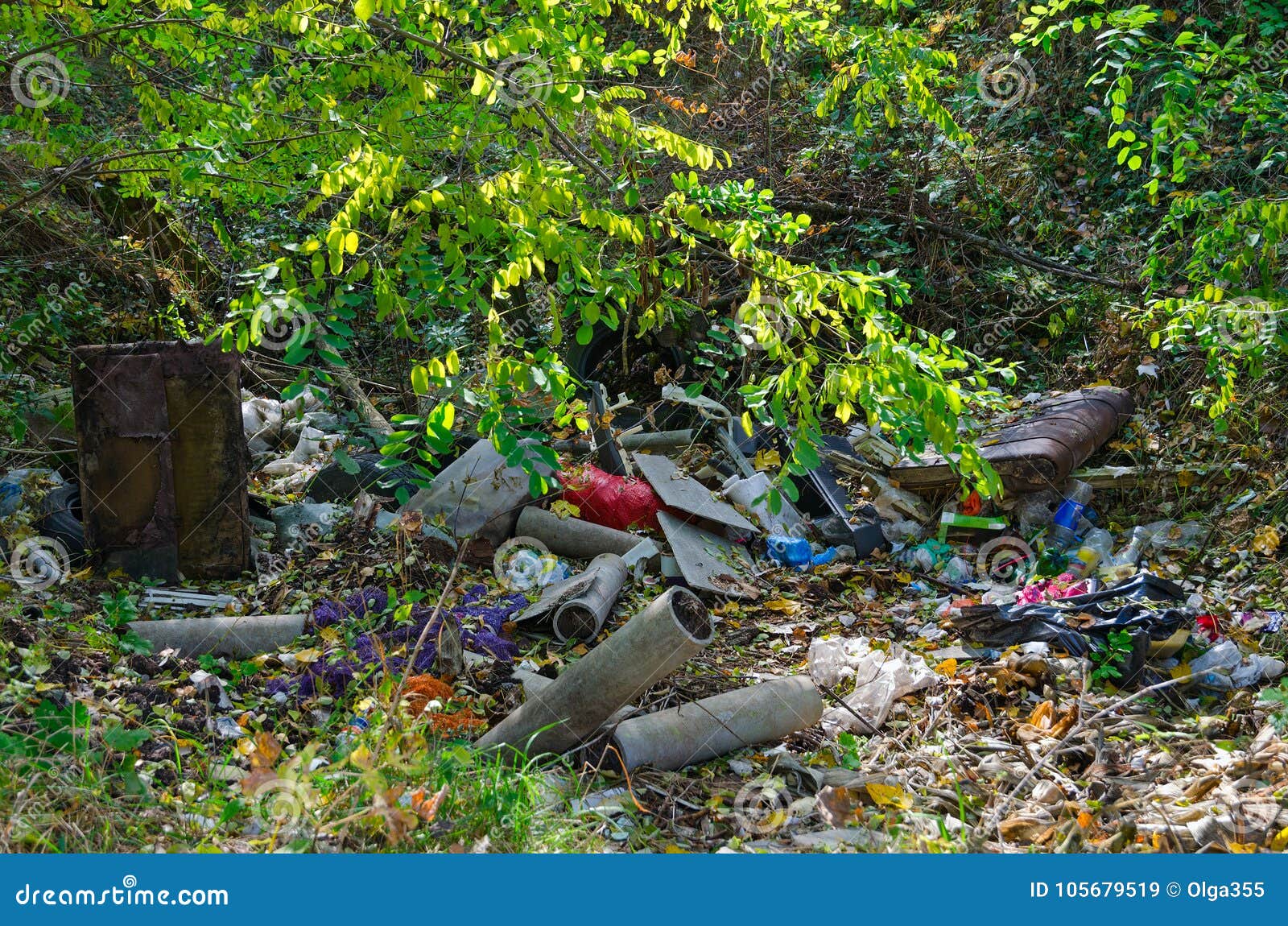 Dump in Forest. Problem of Pollution of Environment Stock Image - Image ...