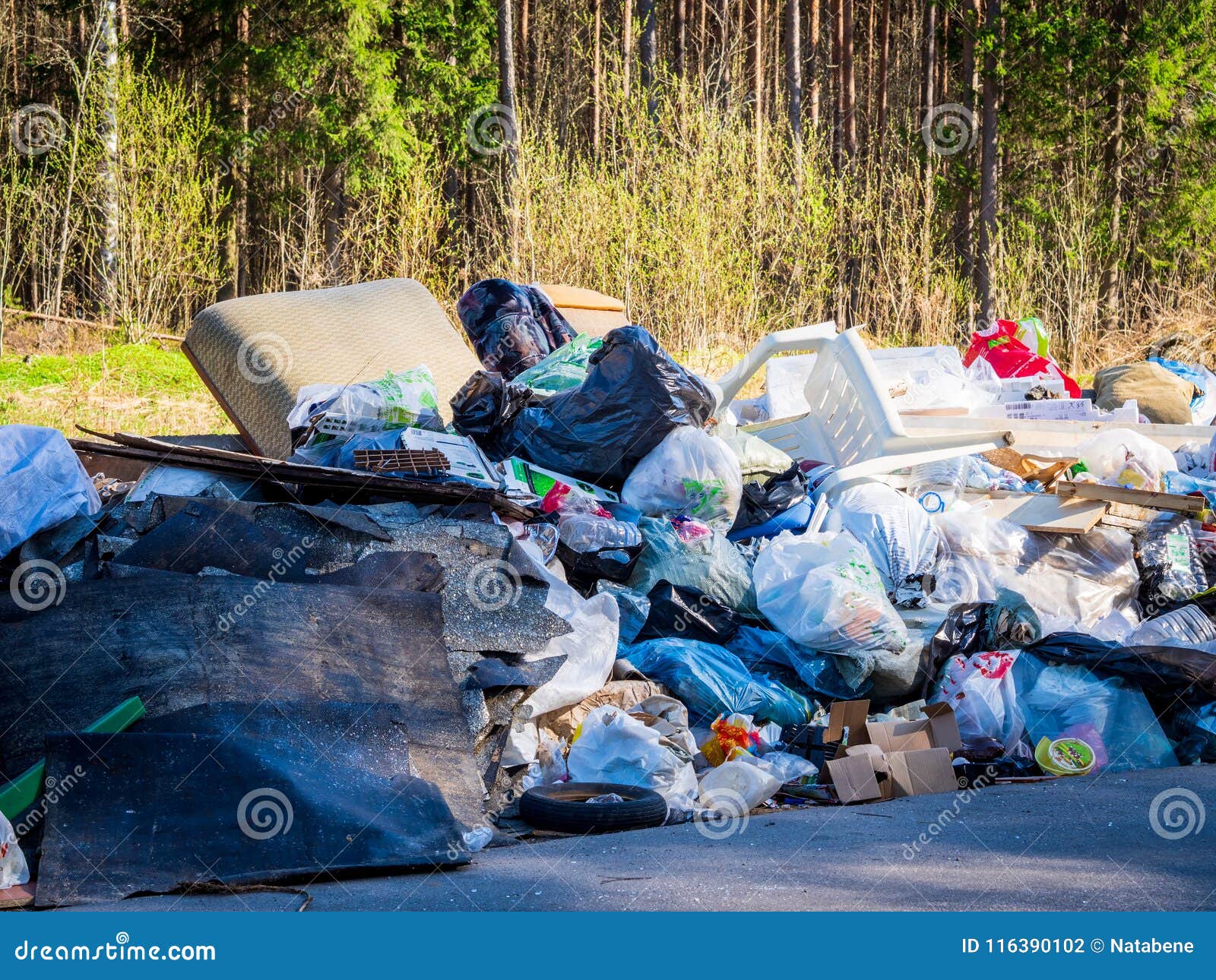 Dump, Garbage in the Nature, Ecological Disasters in the Forest ...