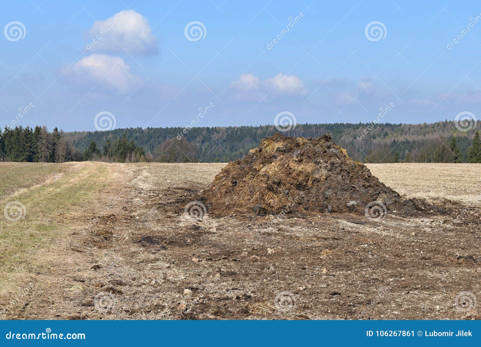 Dump manure on fields stock image. Image of farmland - 106267861