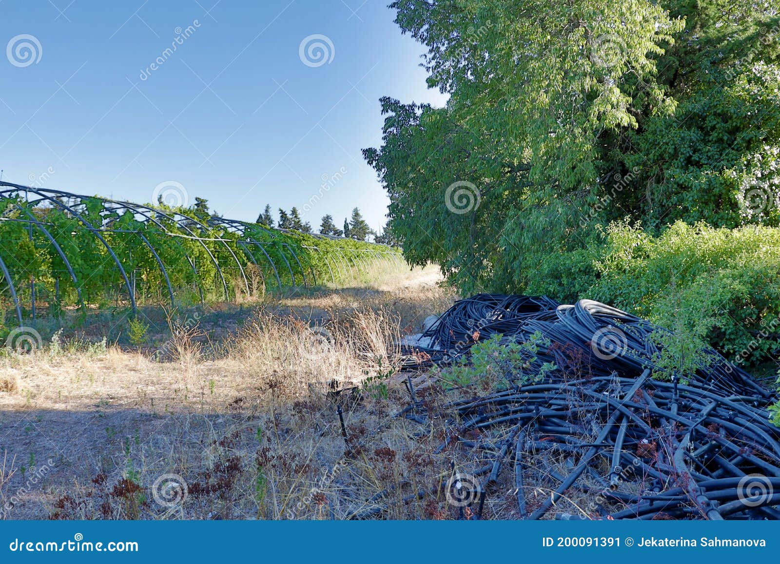 Dump with Plastic Garbage in the Fields, Nature Pollution with Plastic ...