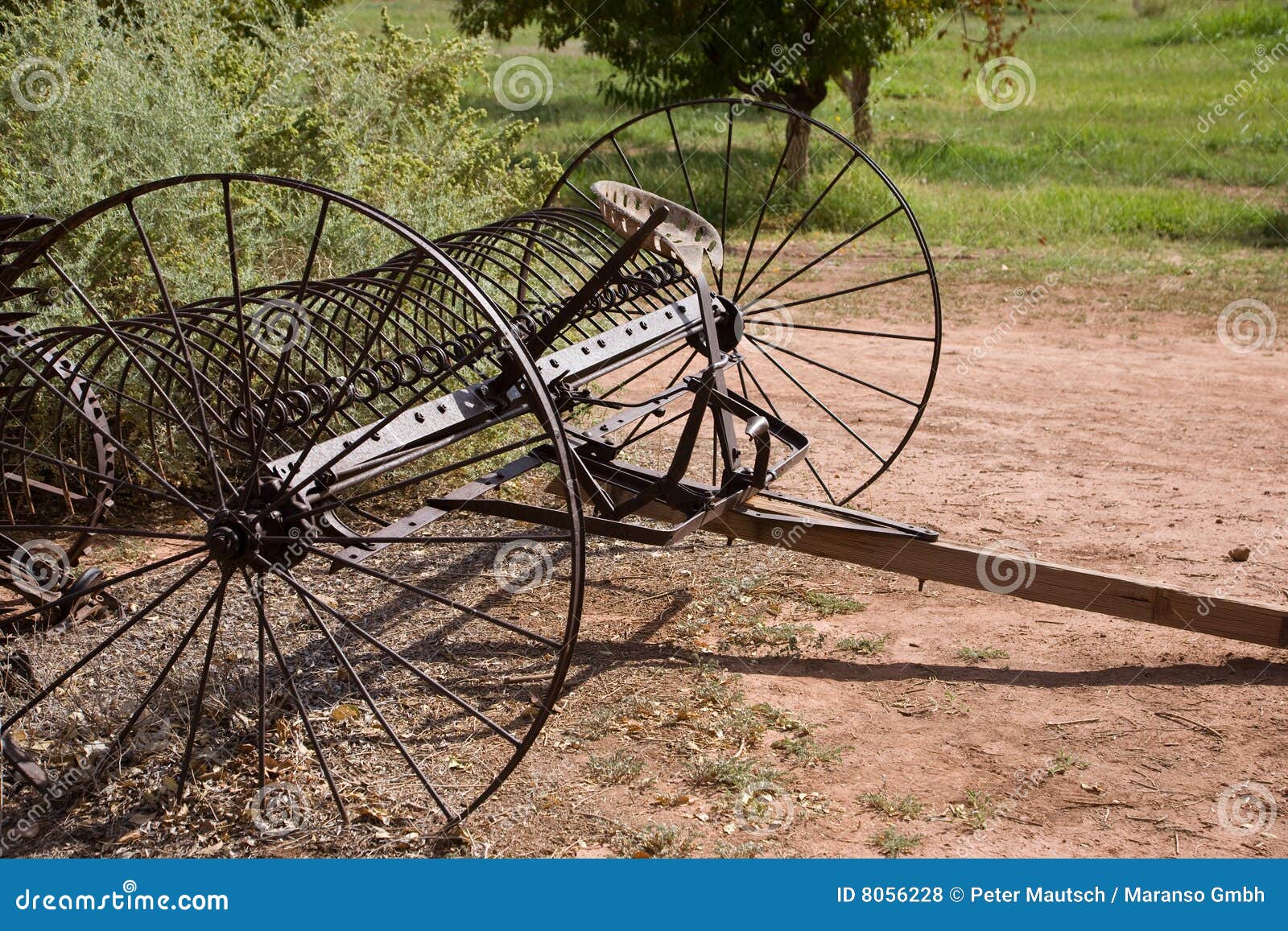 Dump rake stock photo. Image of horse, husbandry, cultivation - 8056228