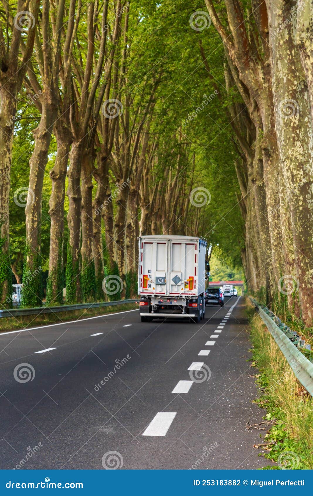 Dump Truck Driving Along a Road between Two Rows of Trees Stock Photo ... Dump Truck Driving Along a Road between Two Rows of Trees Stock Photo ...