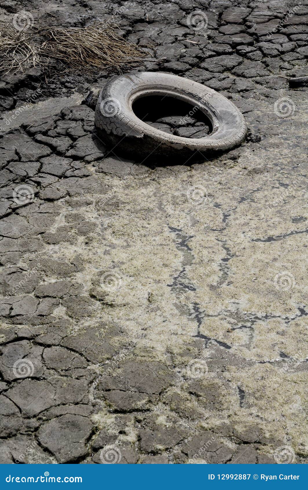 Dumped car tire stock image. Image of dirt, road, cracked - 12992887