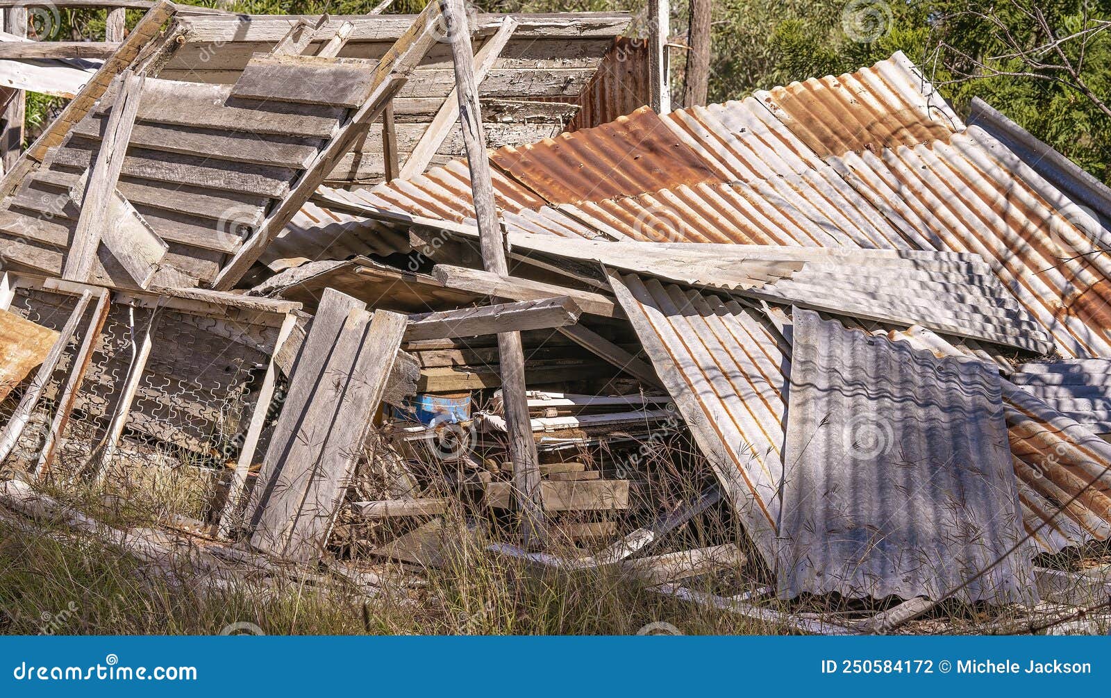 Dilapidated Old Timber Garden Shed With Plants And Weeds Stock Photo ...
