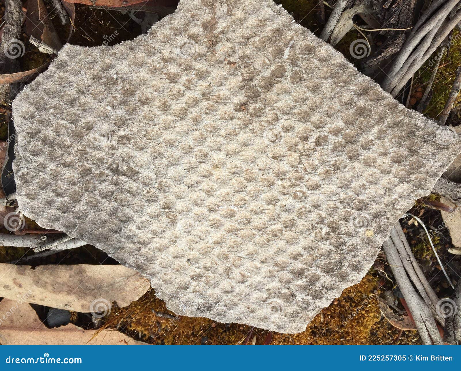 Dumped Piece of Patterned Asbestos Cement Sheet Building Material Stock ...