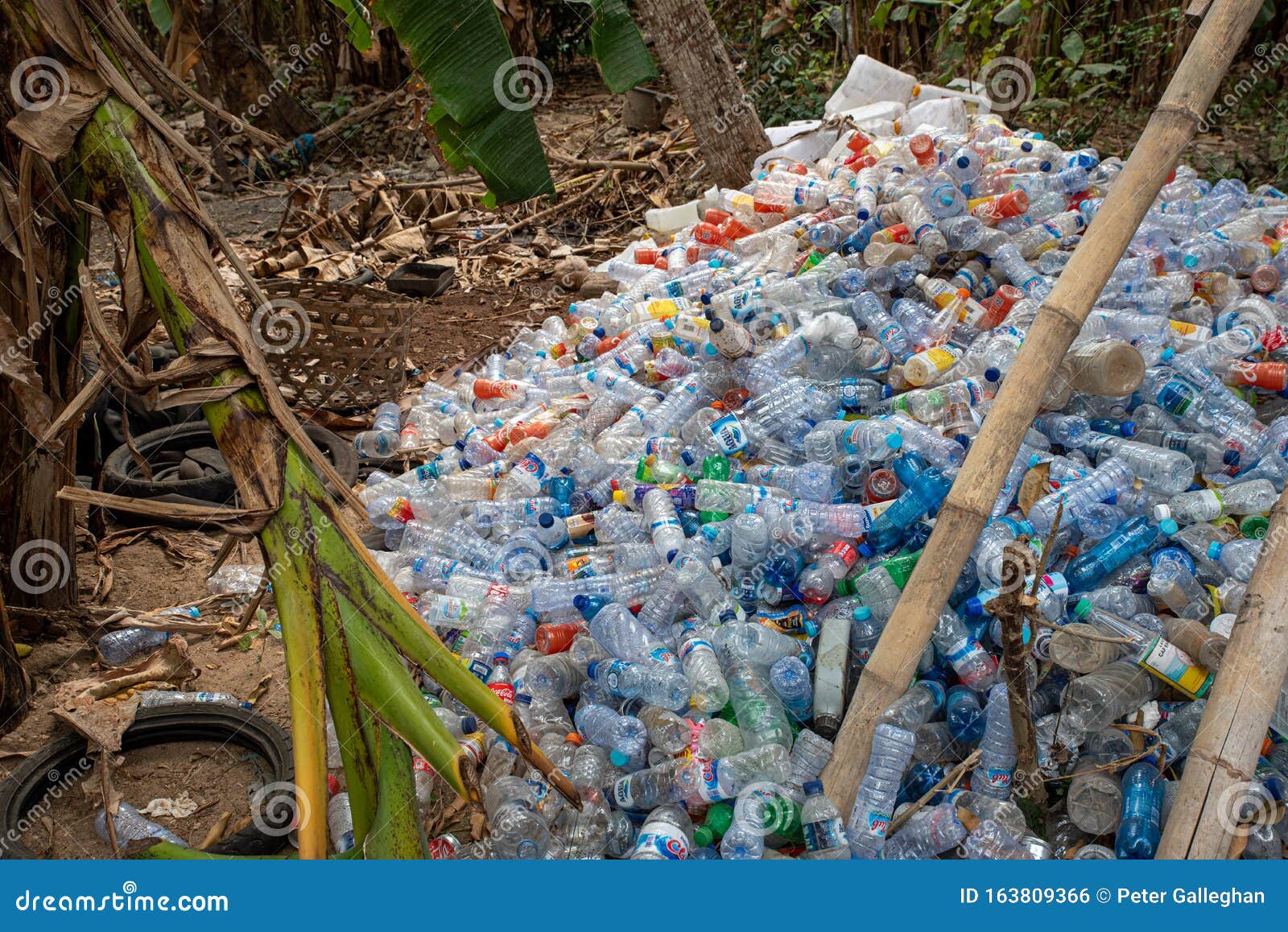 Dumped Plastic Waste in the Forest in Bali , Juli , 28 Juli 2019 ...