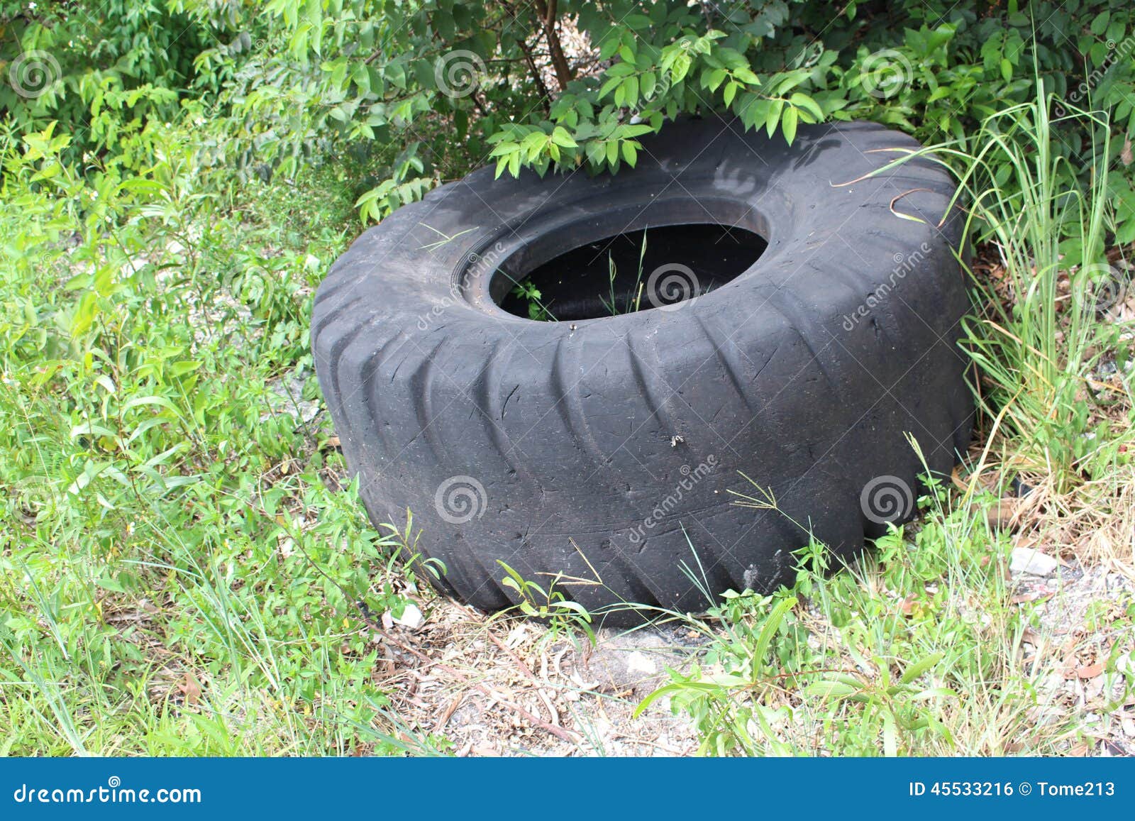 Dumped tire stock photo. Image of grooves, illegal, dumping - 45533216