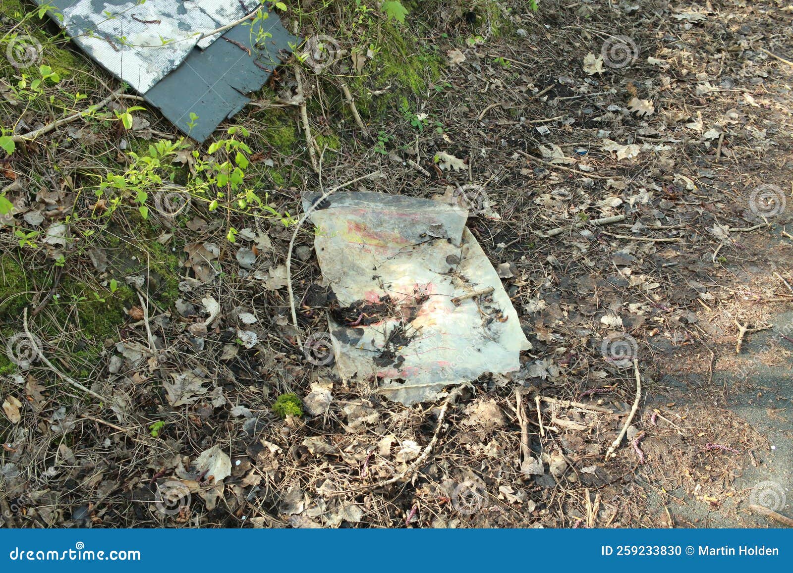 Dumped waste on the ground stock photo. Image of waste - 259233830