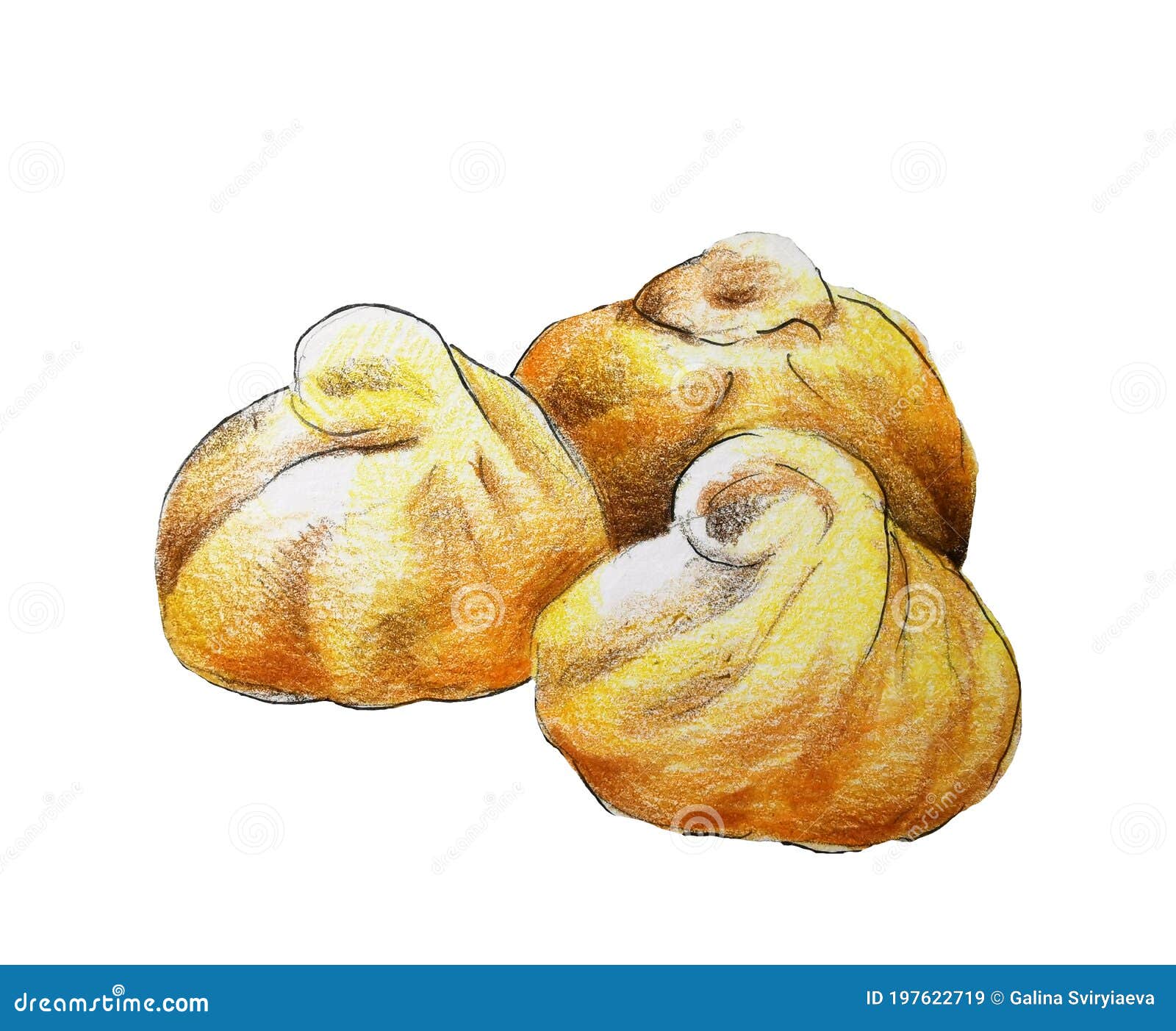 Dumpling Drawing Illustration. Isolated on White Background Stock ...