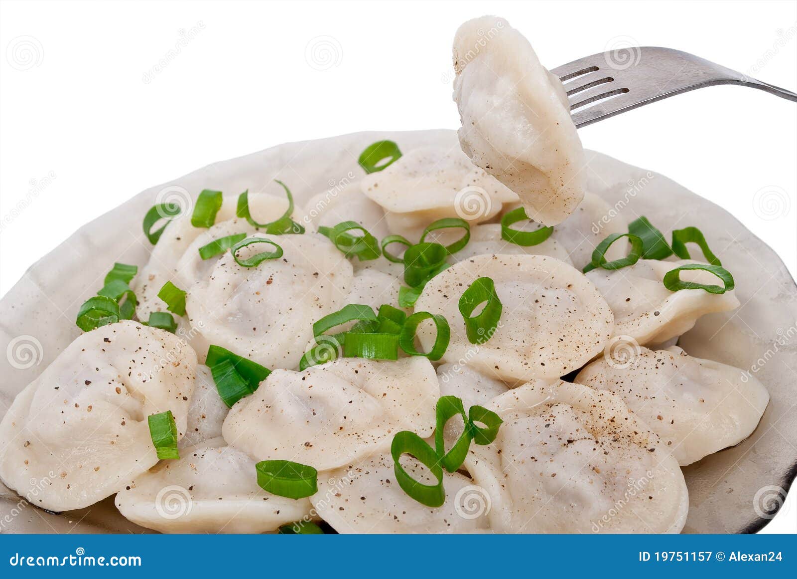 Dumplings on a plate stock image. Image of meat, chicken - 19751157
