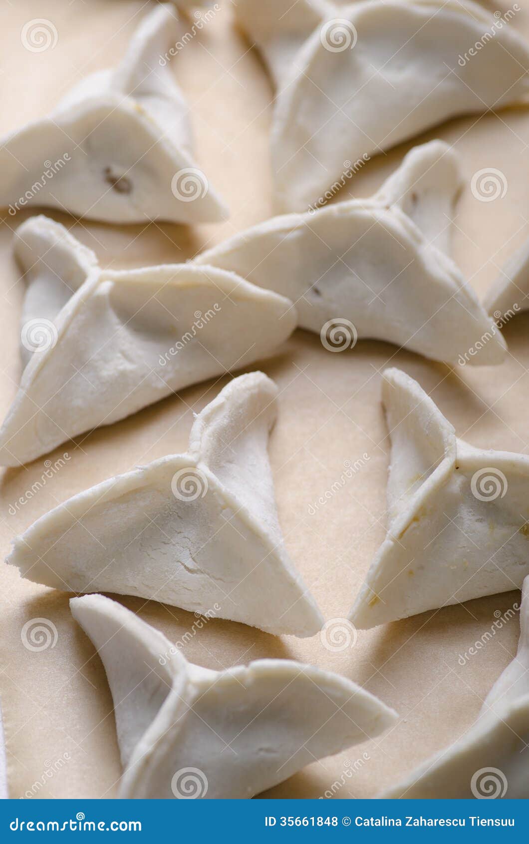 Dumplings stock photo. Image of pork, ginger, asian, food - 35661848