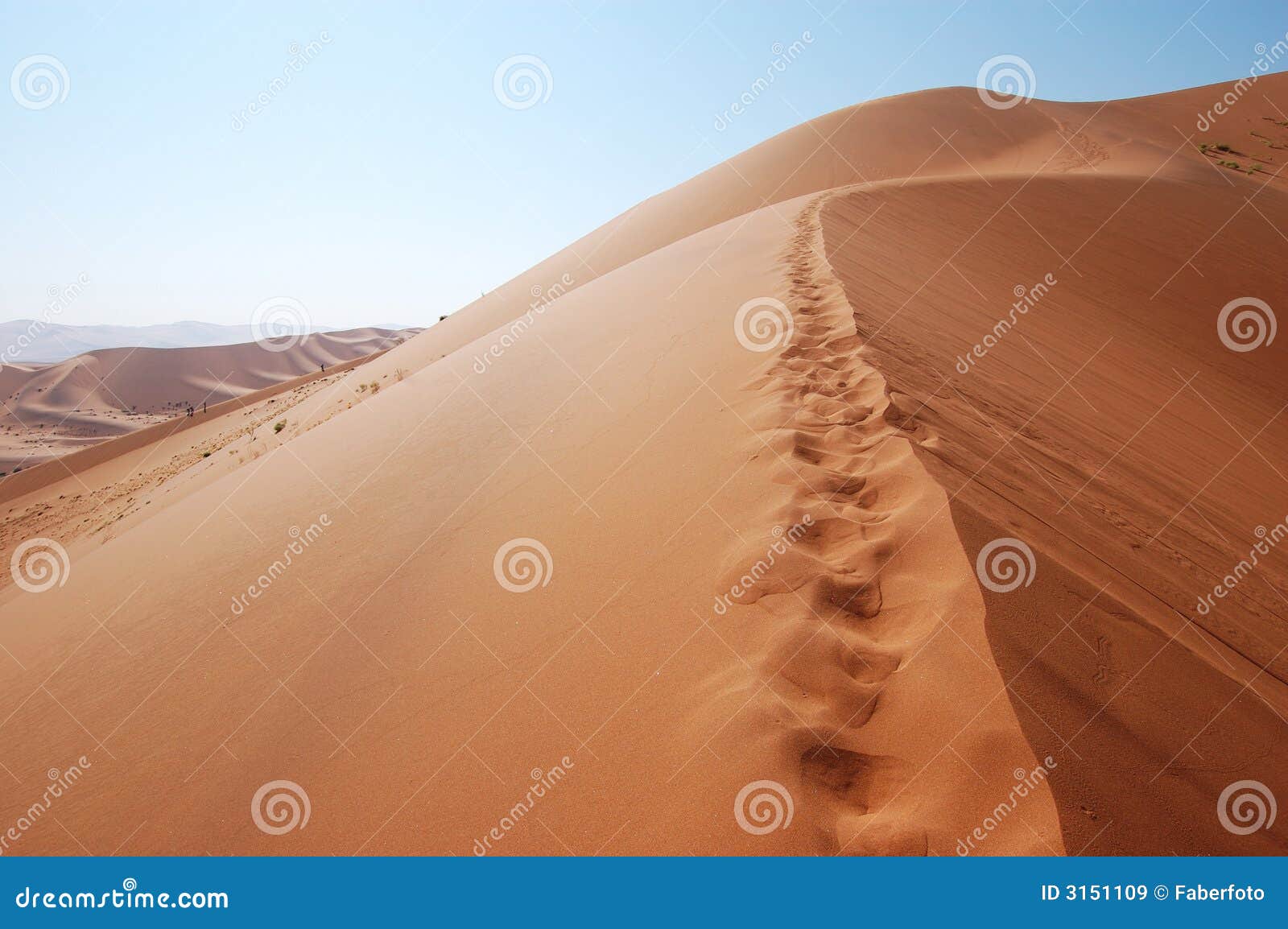 Duna imagem de stock. Imagem de textura, turista, linha - 3151109