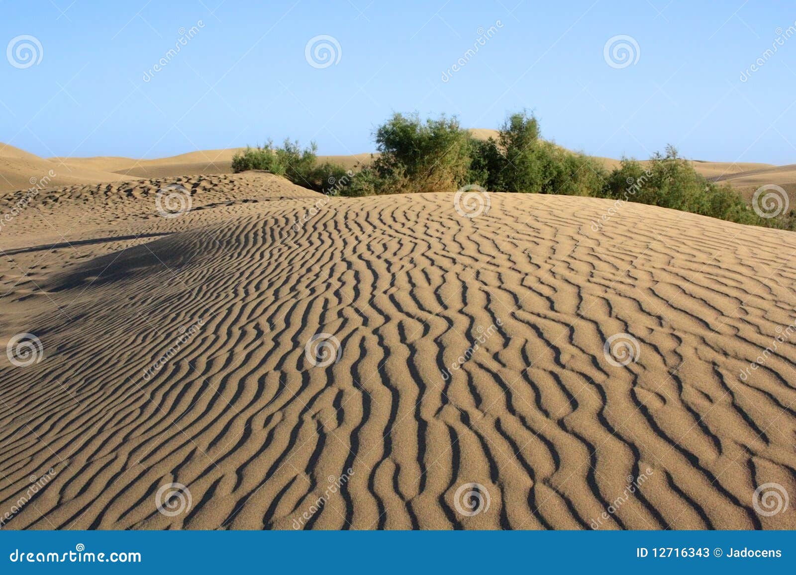 Duna Com Textura Maravilhosa Imagem de Stock - Imagem de relaxe, fundo ...