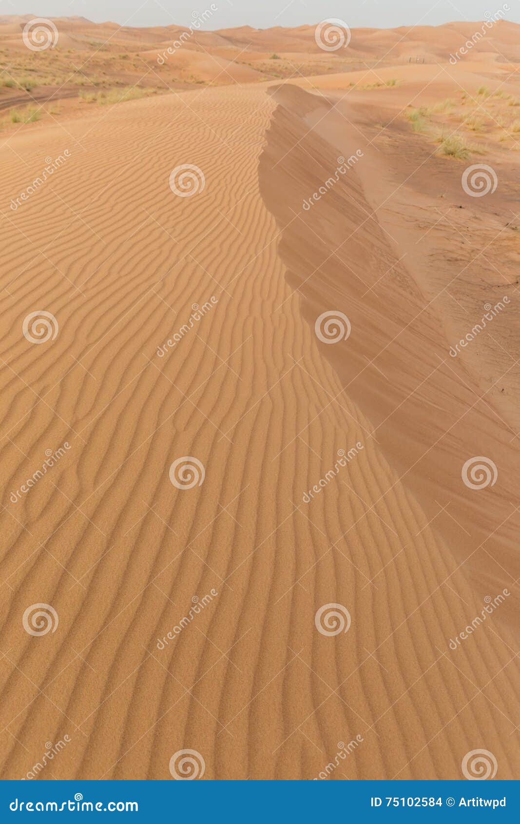 Duna De Arena Con El Viento Trace Texture En Dubai Foto de archivo ...