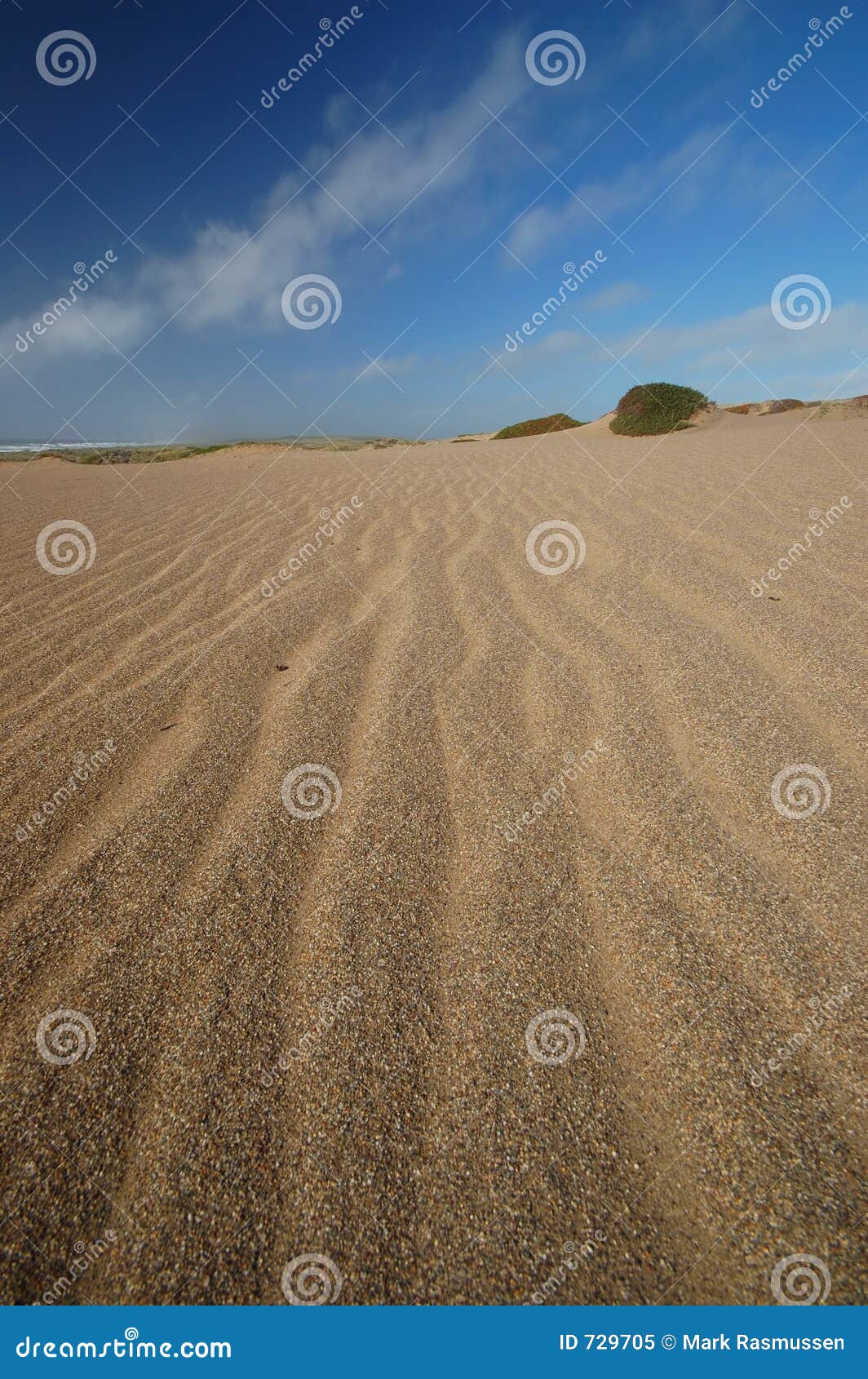 Duna Di Sabbia Sulla Spiaggia Immagine Stock - Immagine di duna, costa ...