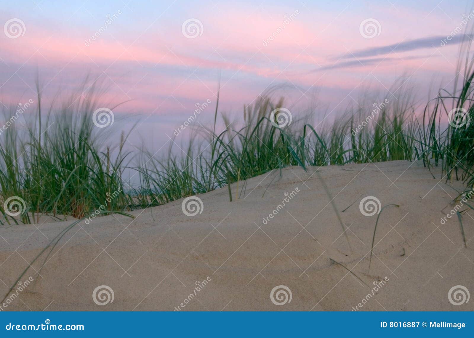 Dunas imagen de archivo. Imagen de asoleado, sunset, rosa - 8016887