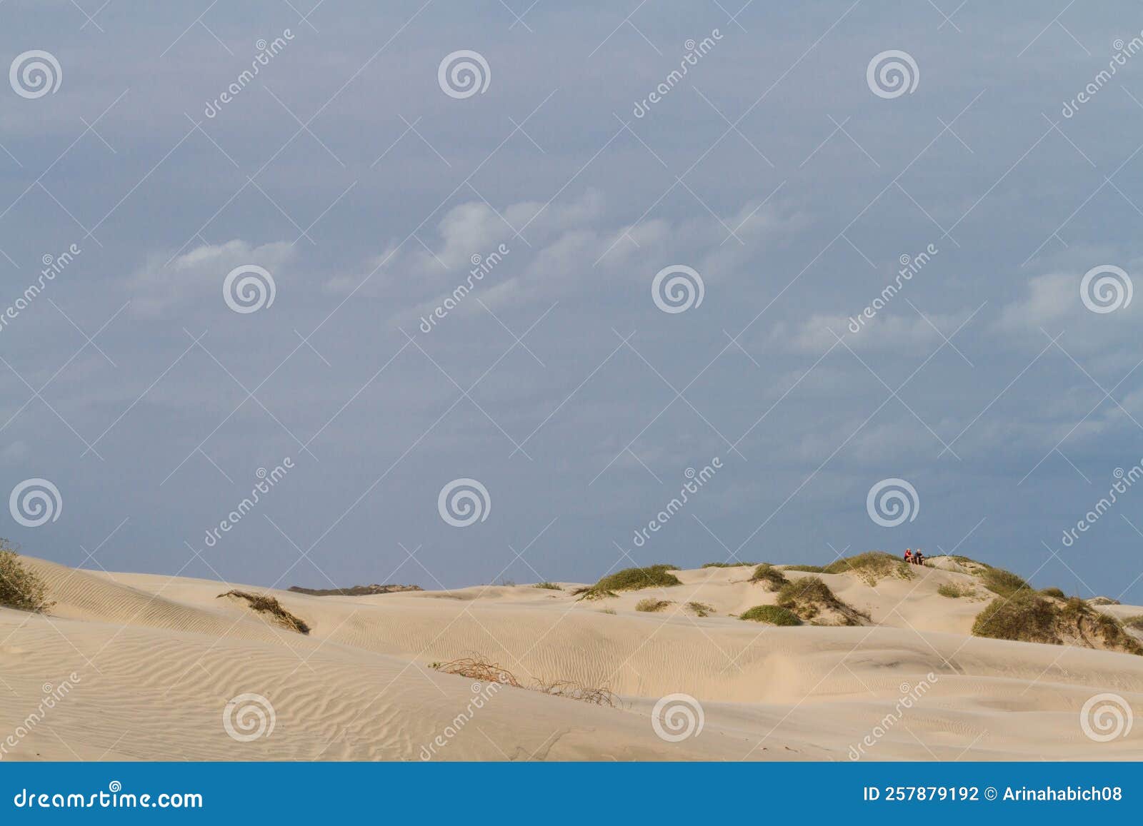 Dunas costeras foto de archivo. Imagen de arena, colina - 257879192