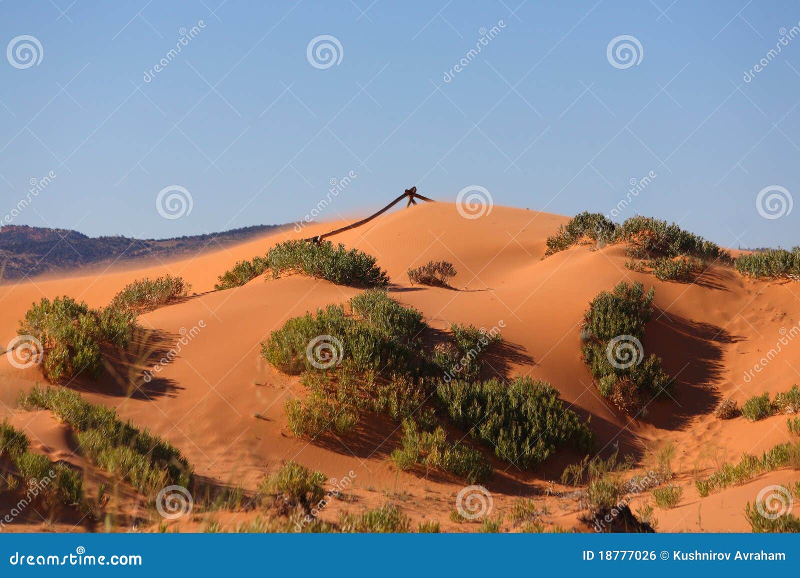 Dunas De Arena Rosadas Y Robusto Suaves Foto de archivo - Imagen de ...