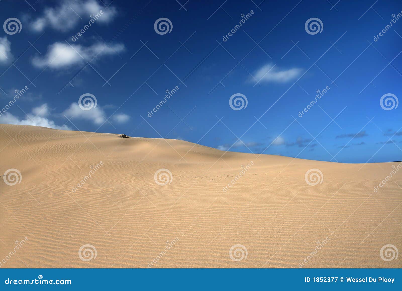 Dunas De Arena Y Cielos Azules Imagen de archivo - Imagen de verano ...