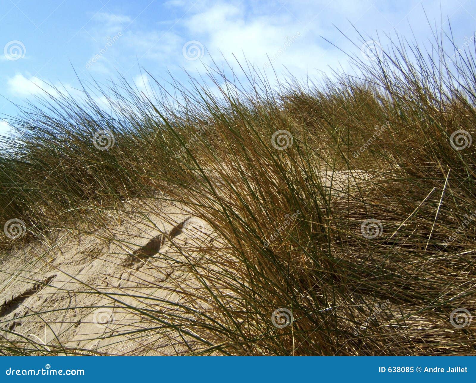Dunas de la playa imagen de archivo. Imagen de playas, cielo - 638085