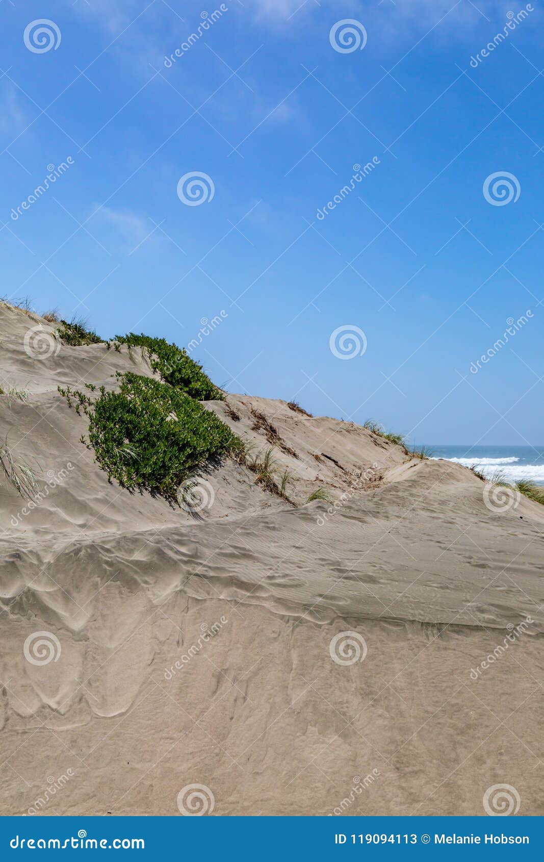 Dunas en la playa imagen de archivo. Imagen de hermoso - 119094113