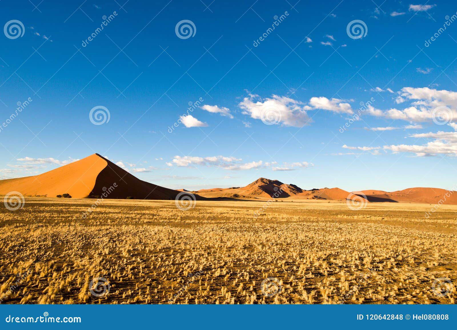 Dunas En Sossusvlei, Namibia Foto de archivo - Imagen de seco ...