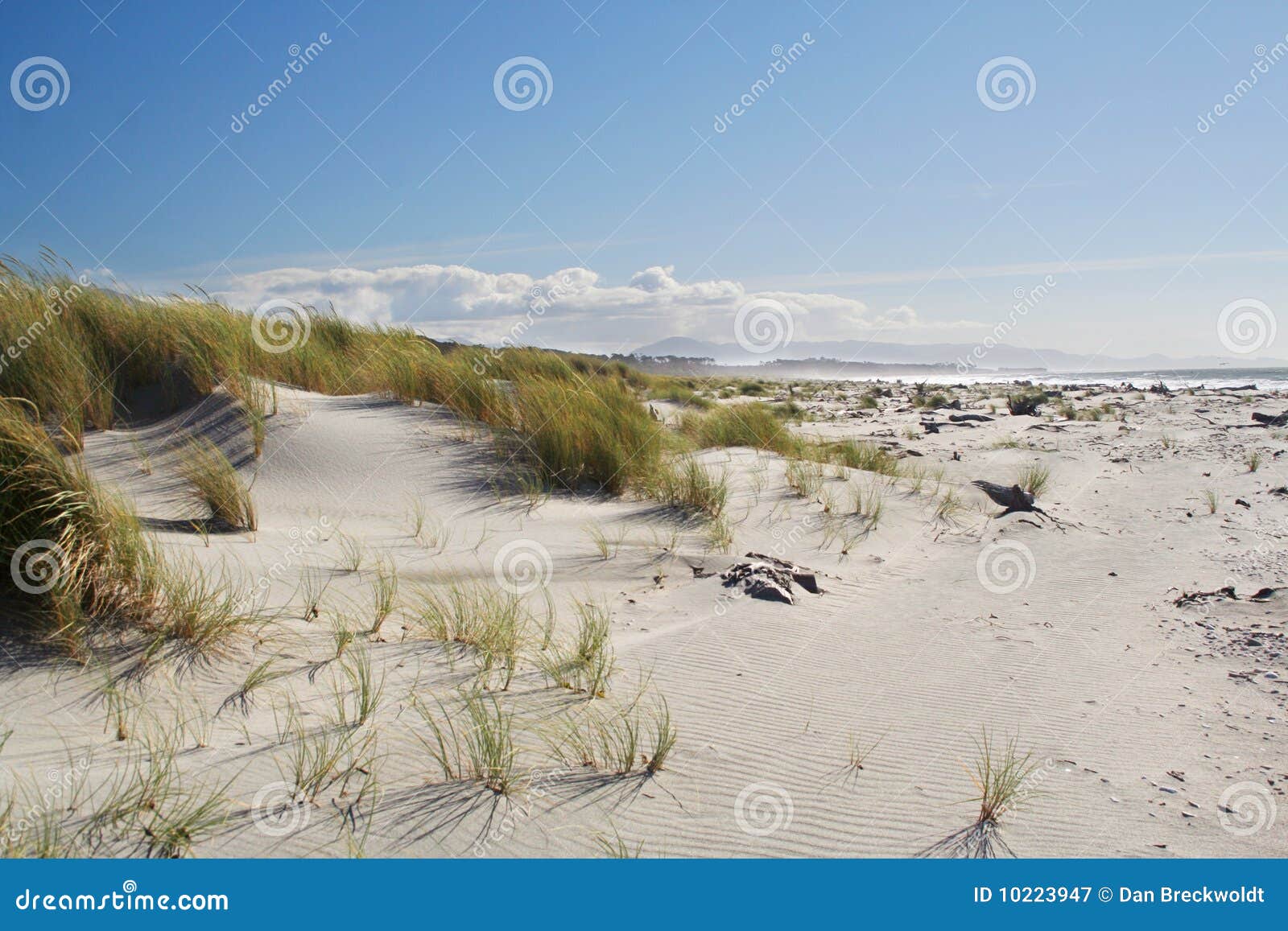 Dunas en una playa aislada imagen de archivo. Imagen de costa - 10223947