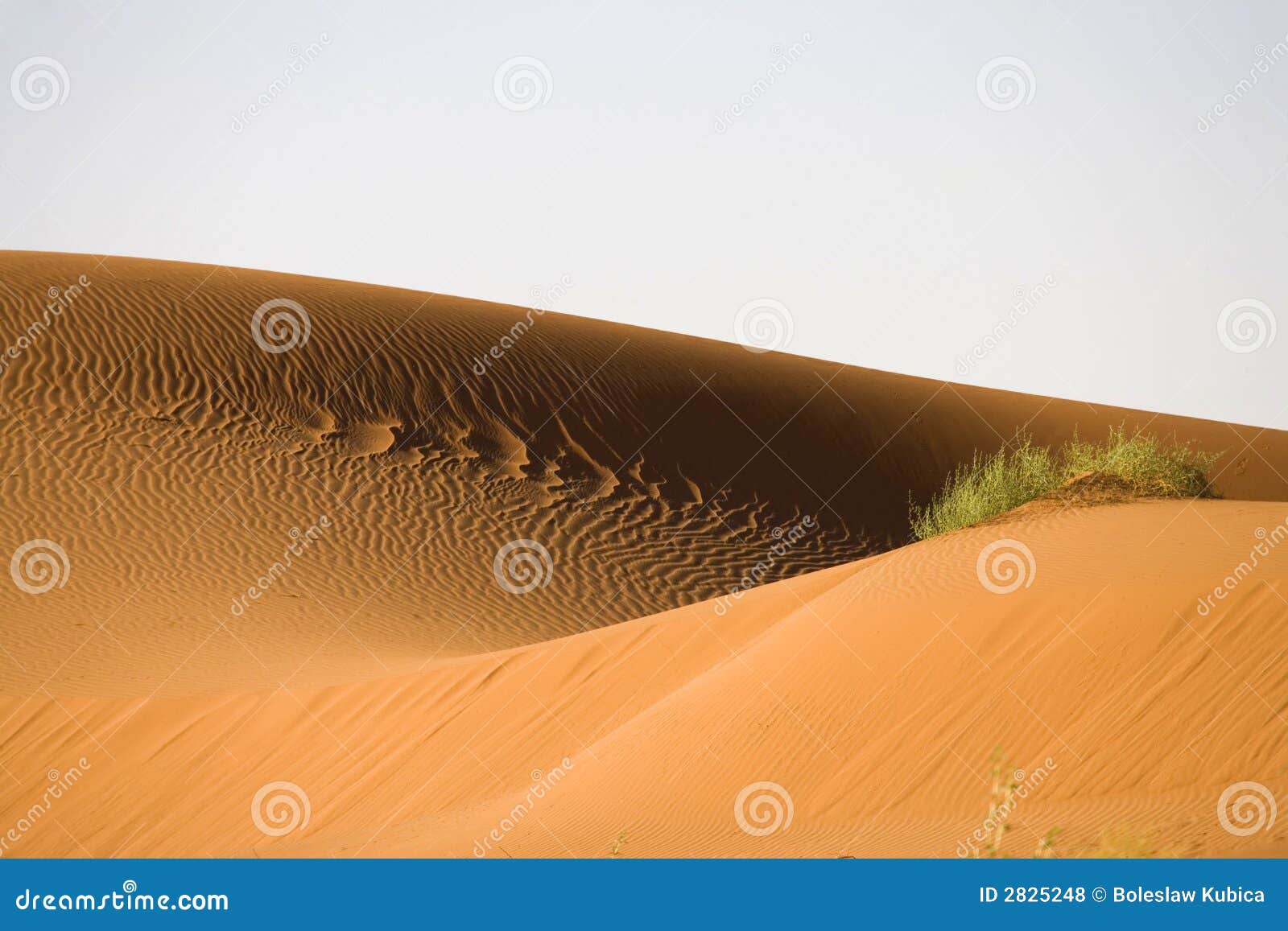Dune stock photo. Image of route, activity, lonely, outdoor - 2825248
