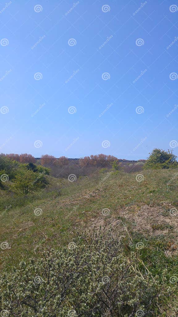Dune stock photo. Image of spring, dune, nature, netherlands - 91621744