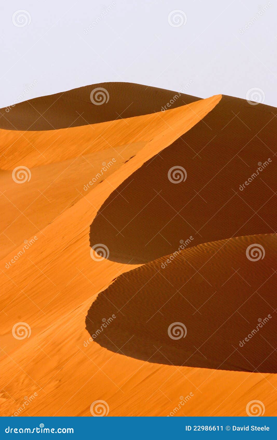 Dune Abstract stock image. Image of arab, sand, nature - 22986611