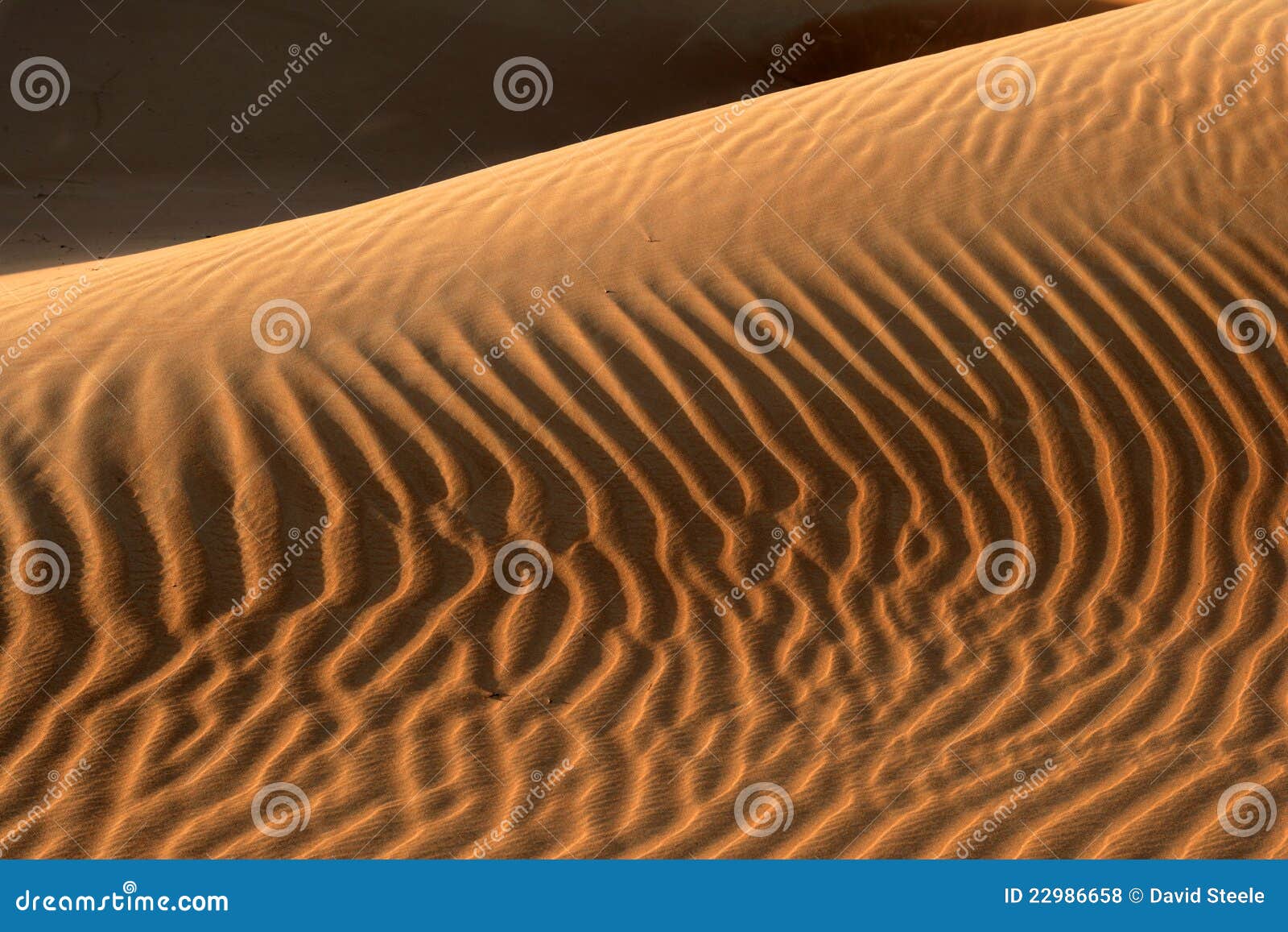Dune Abstract stock photo. Image of middle, arab, dubai - 22986658