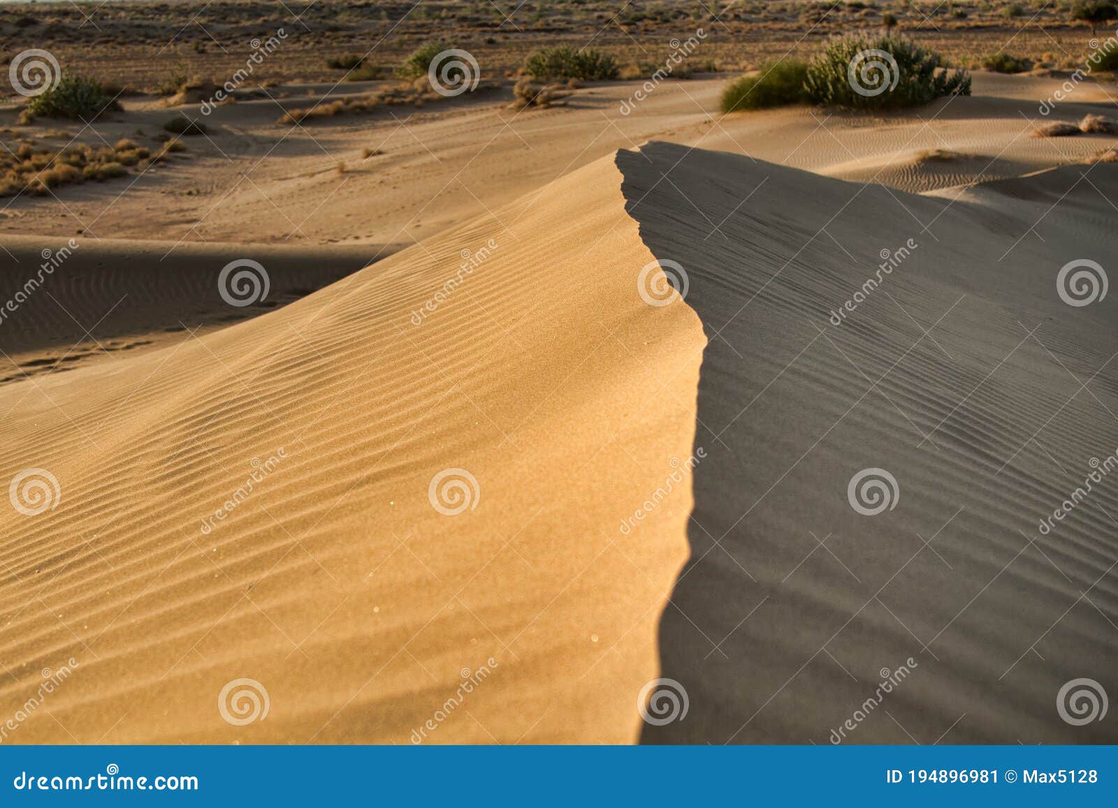 Dune crest and fixed sands stock image. Image of vegetated - 194896981