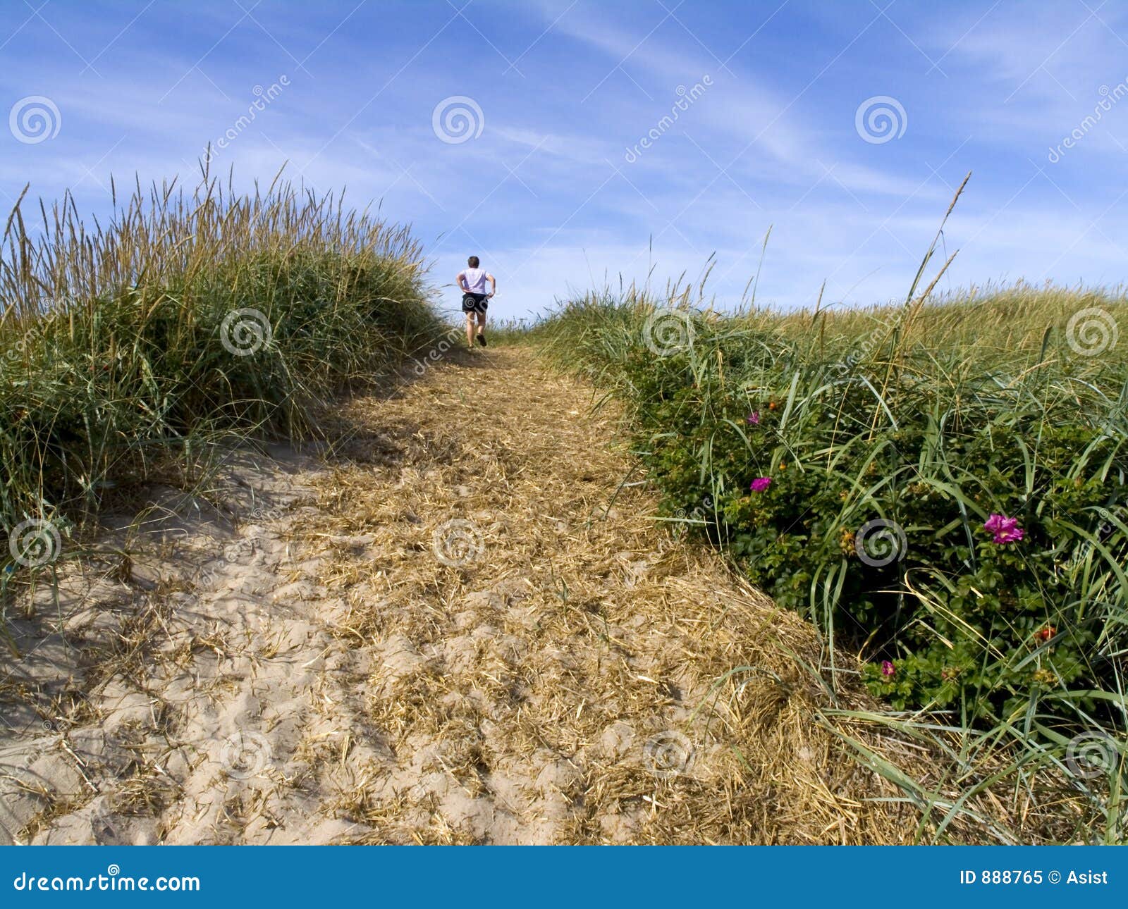 Dune De Sable De Croisement De Chemin Image stock - Image du recule ...