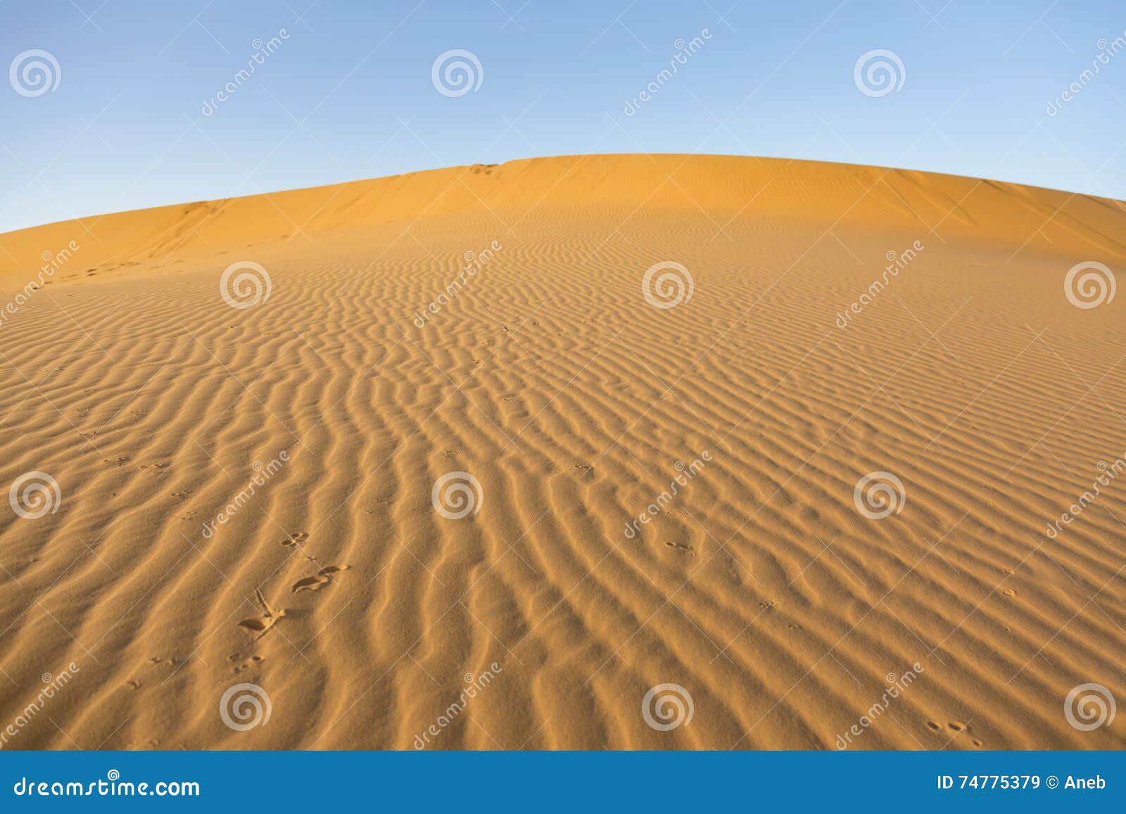 Dune in the desert stock image. Image of nature, hill - 74775379