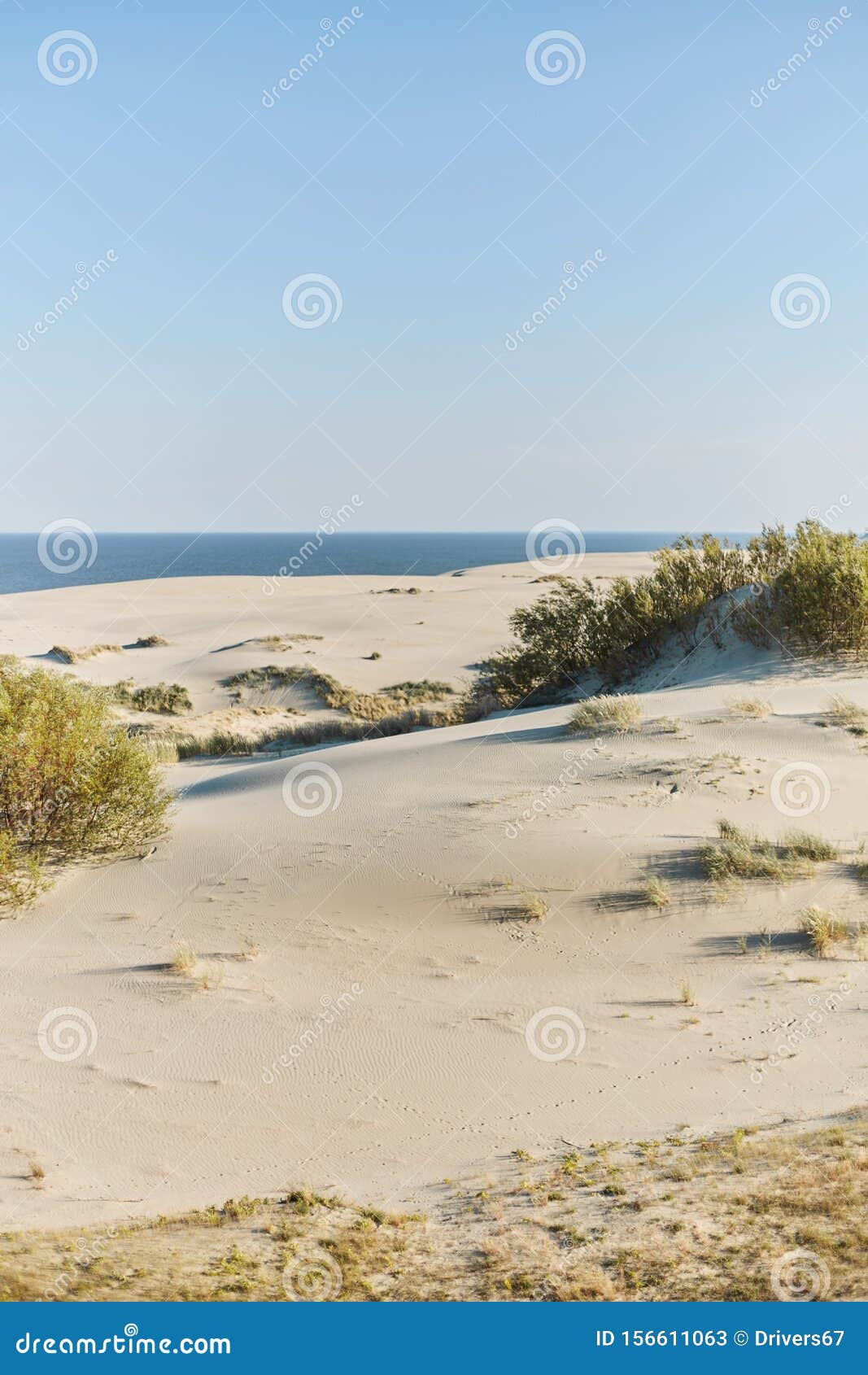 Dune Efa. Curonian Spit stock image. Image of kaliningrad - 156611063