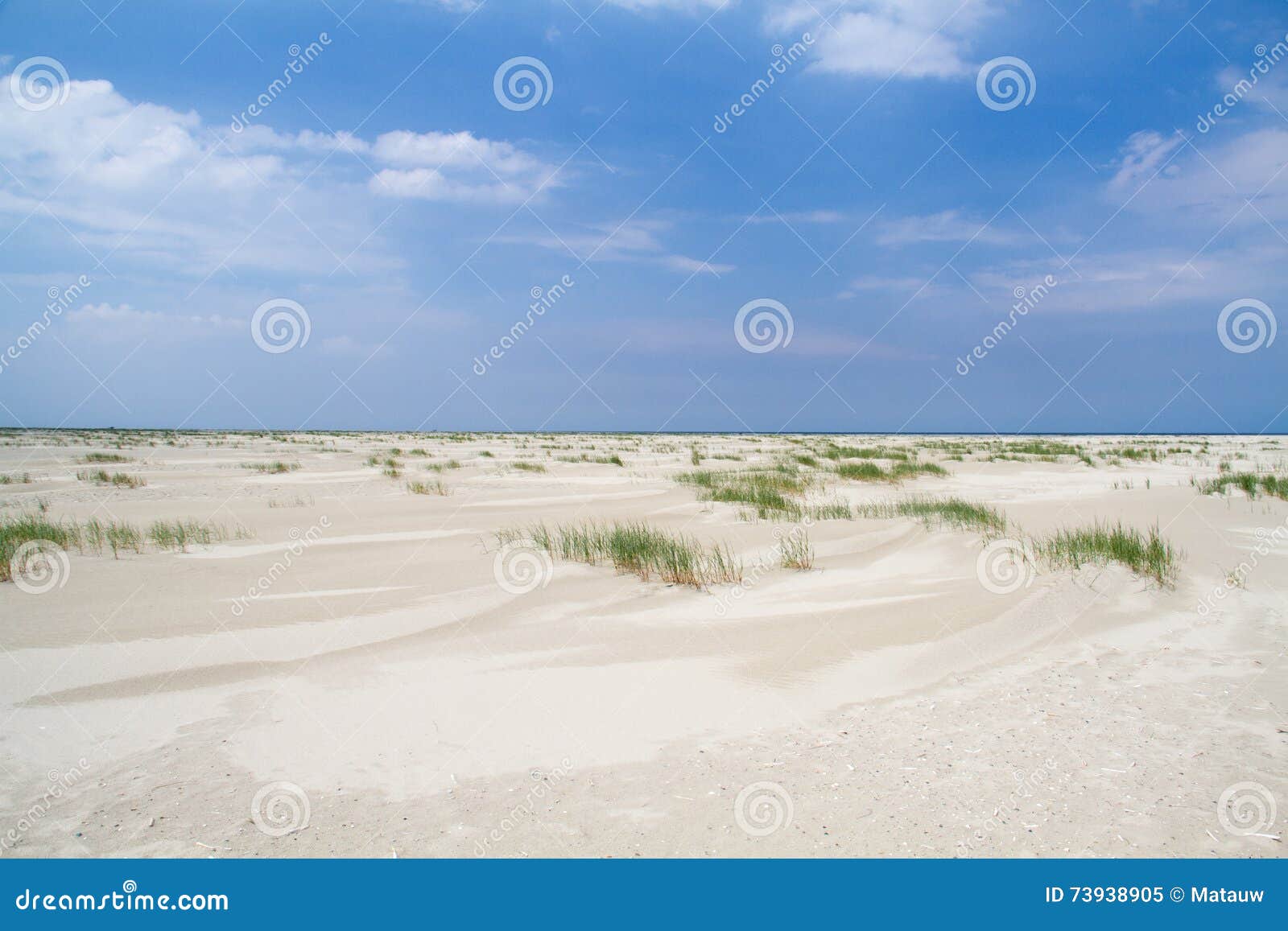 Dune Forming: Small Dunes Grown With Marram Grass Stock Photo ...