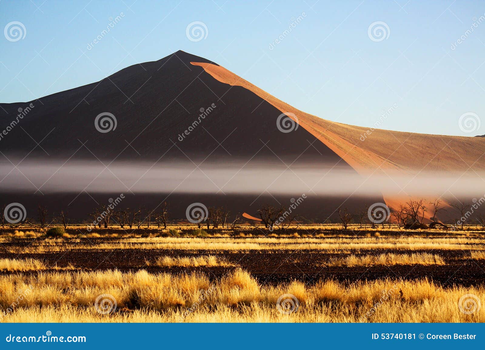 Dune in Namibia stock image. Image of morning, africa - 53740181