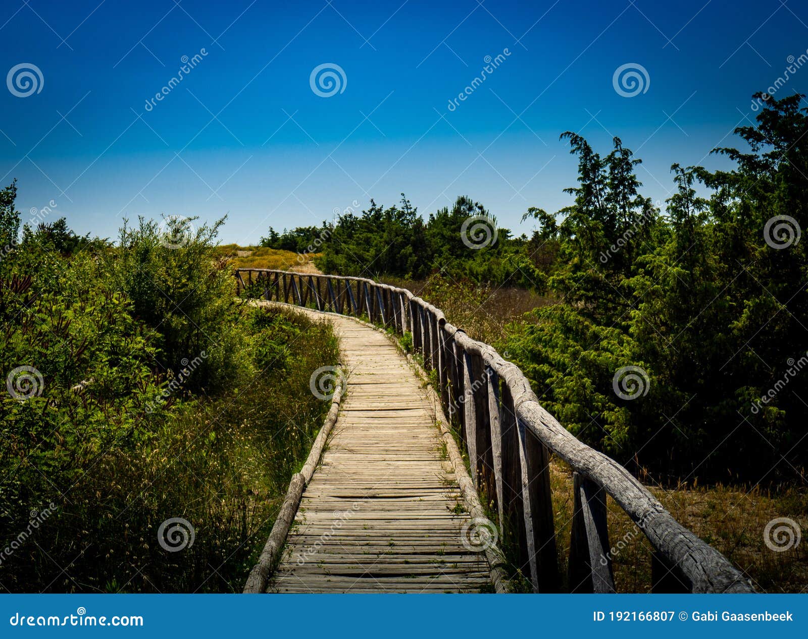 Dune Path on the Beach in Italy Stock Image - Image of relax, seashore ...