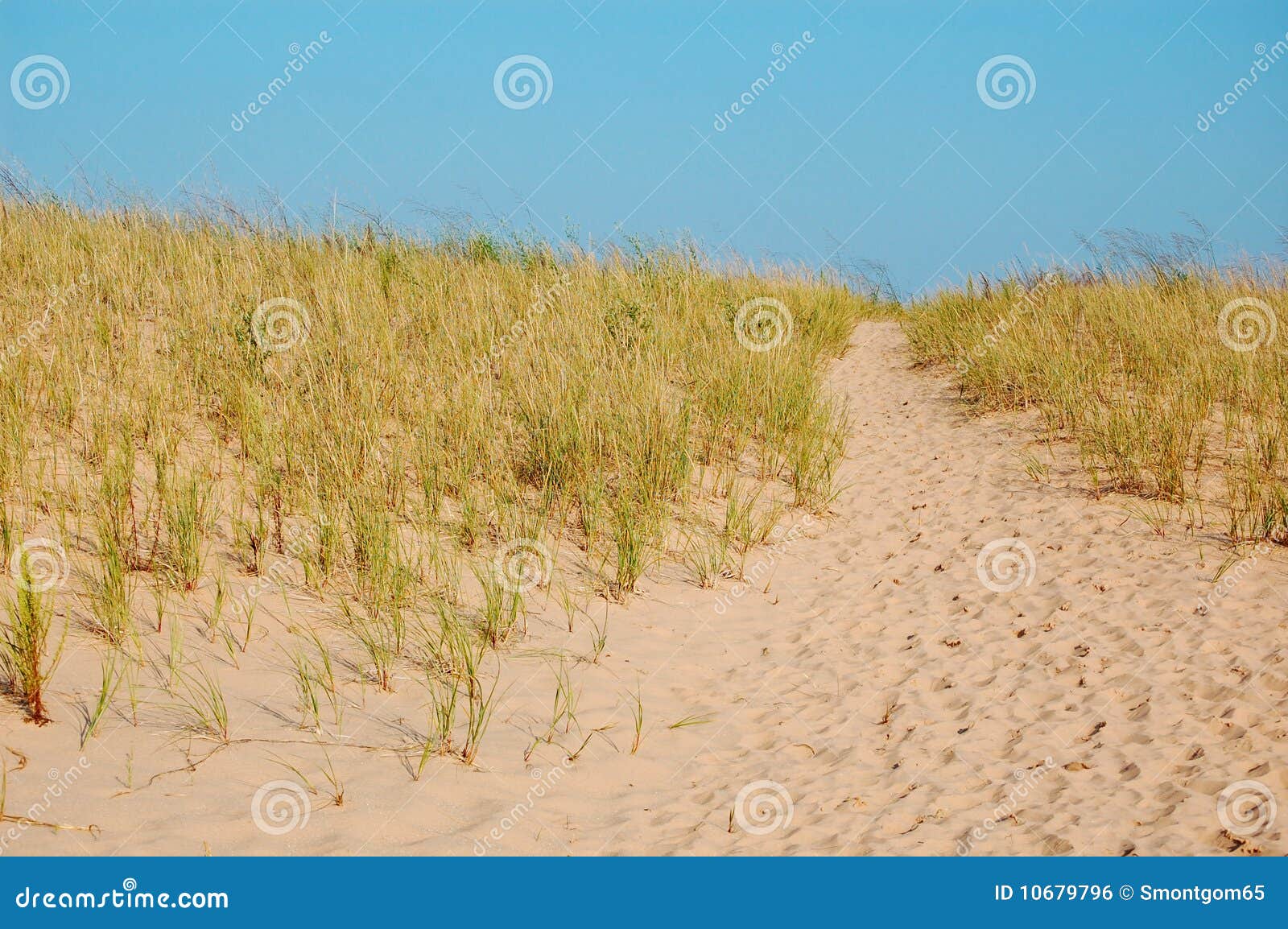 Dune path - horizontal stock photo. Image of outdoors - 10679796