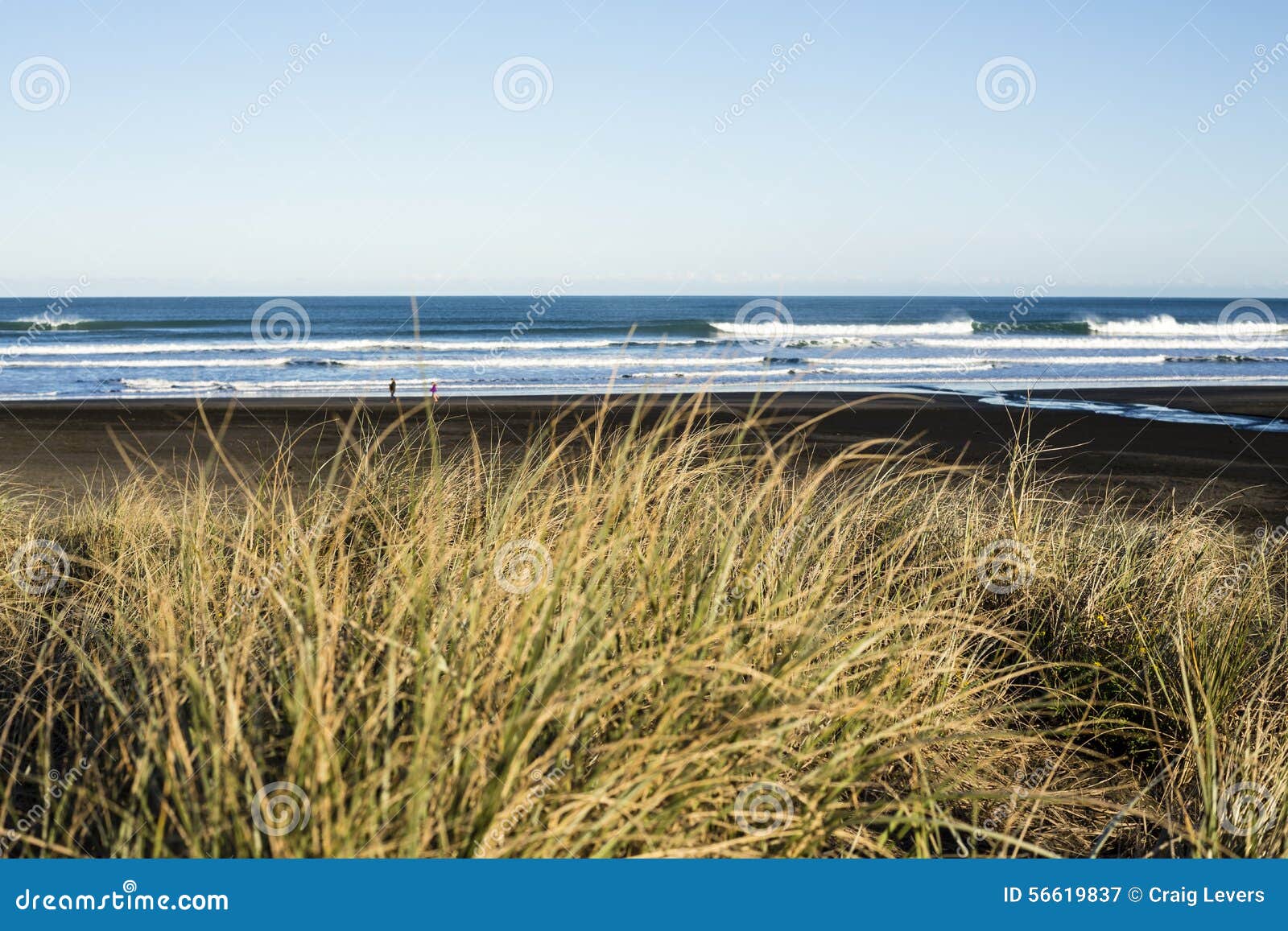 Dune Path stock image. Image of beach, sand, walkway - 56619837