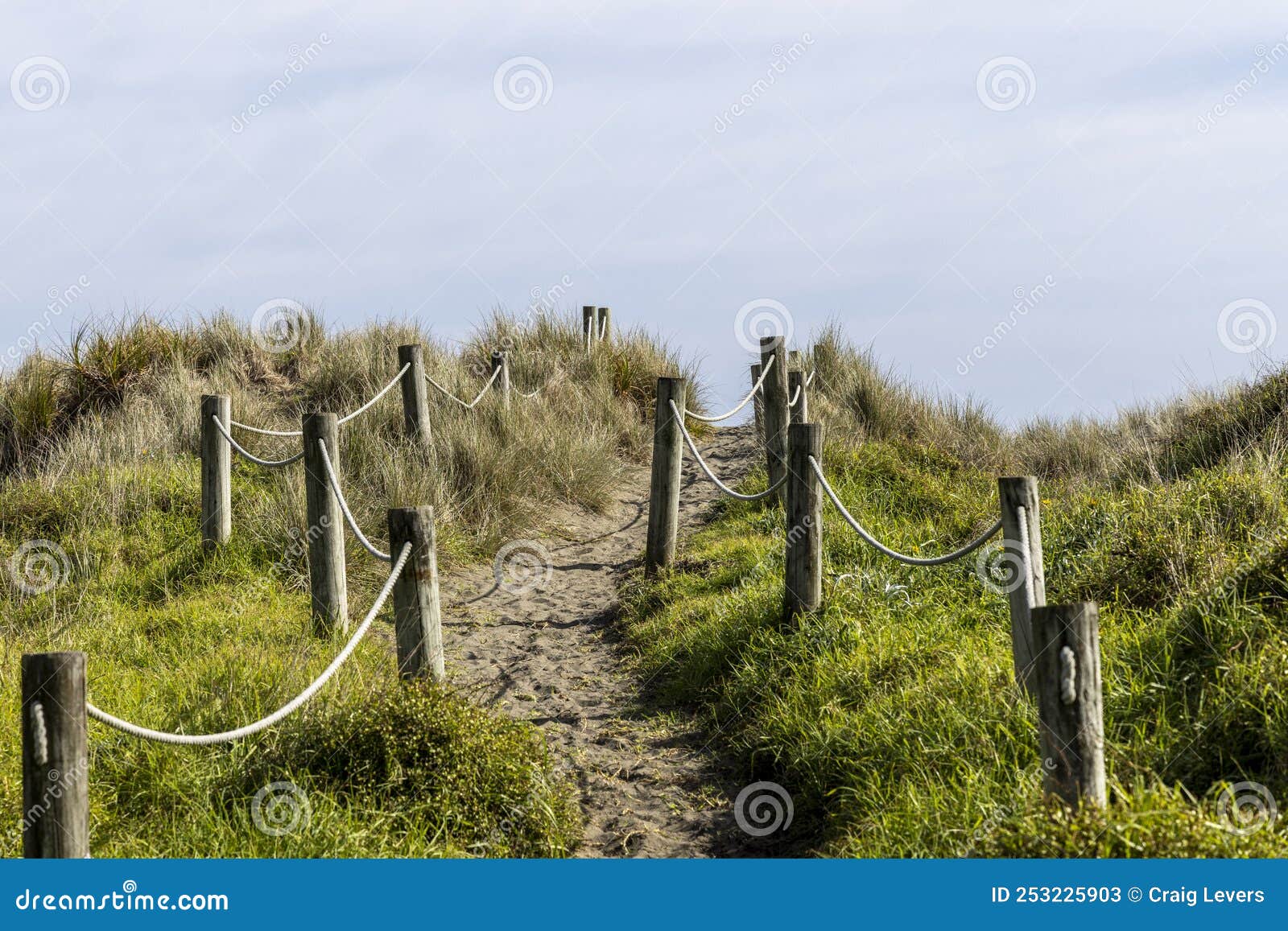 Dune Path, Piha, NZ stock image. Image of summer, piha - 253225903