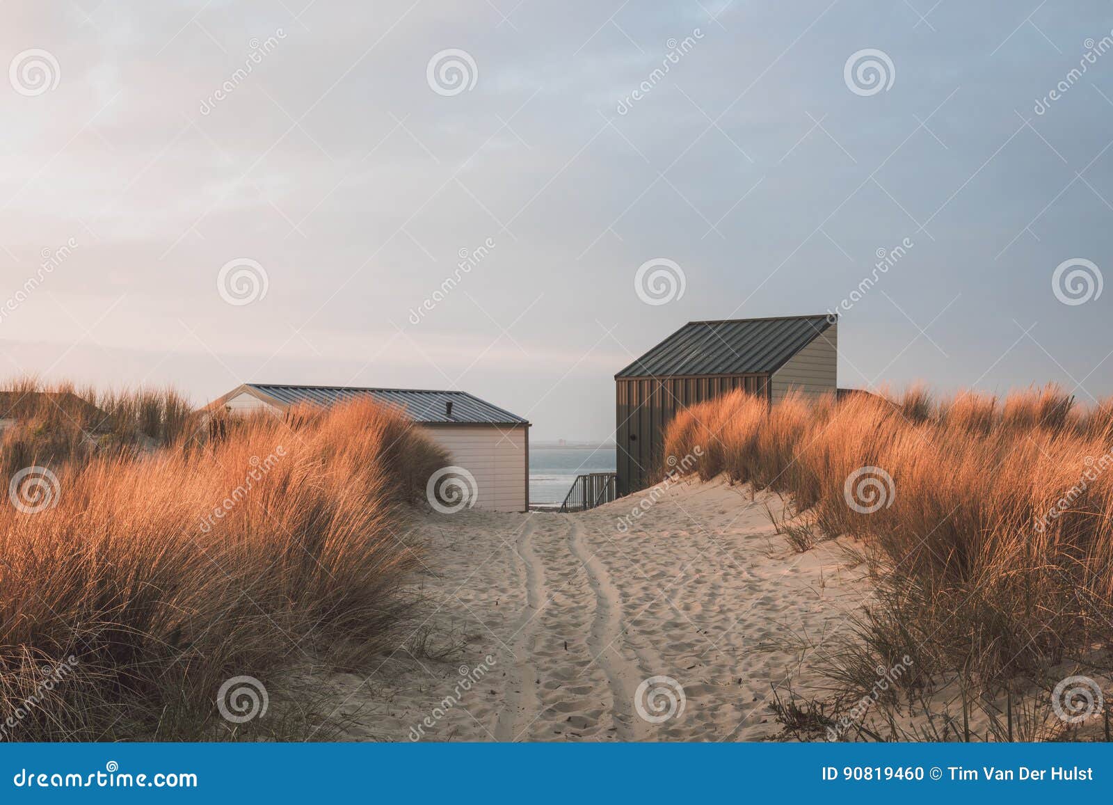 Dune path to the beach stock photo. Image of visible - 90819460