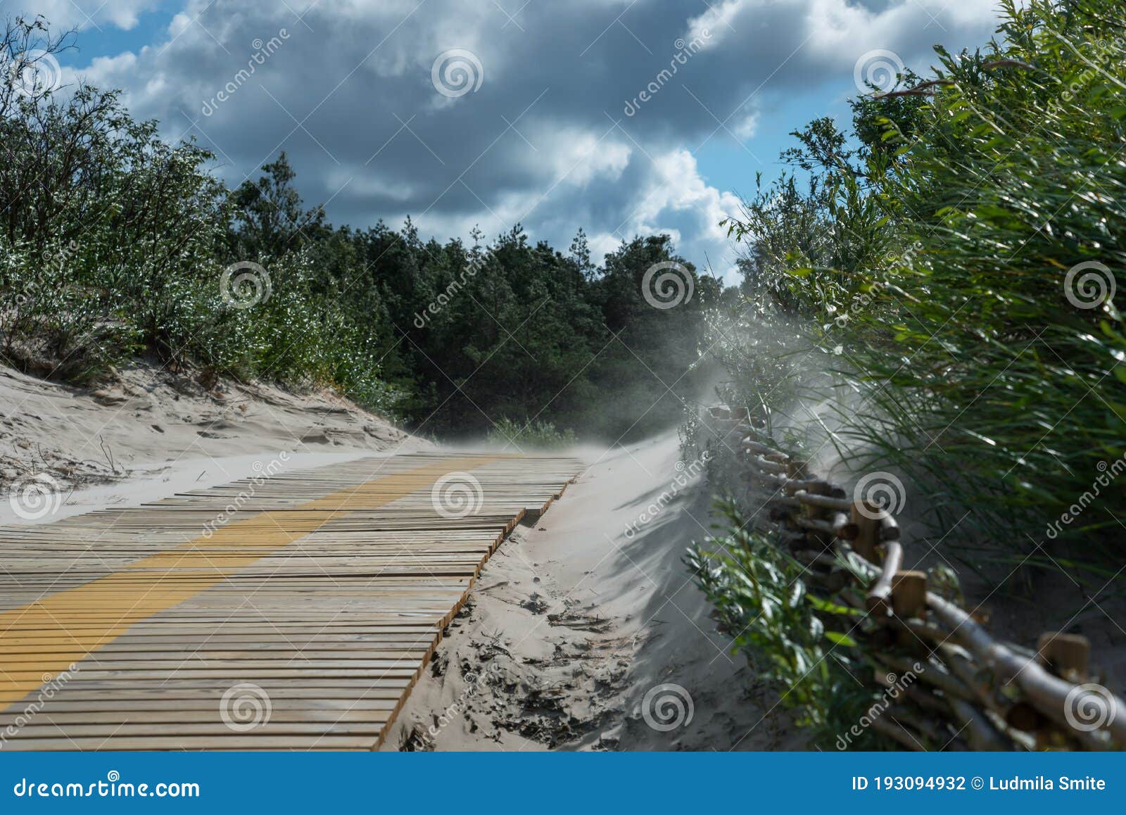 Dune path in a windy day stock photo. Image of pedestrian - 193094932