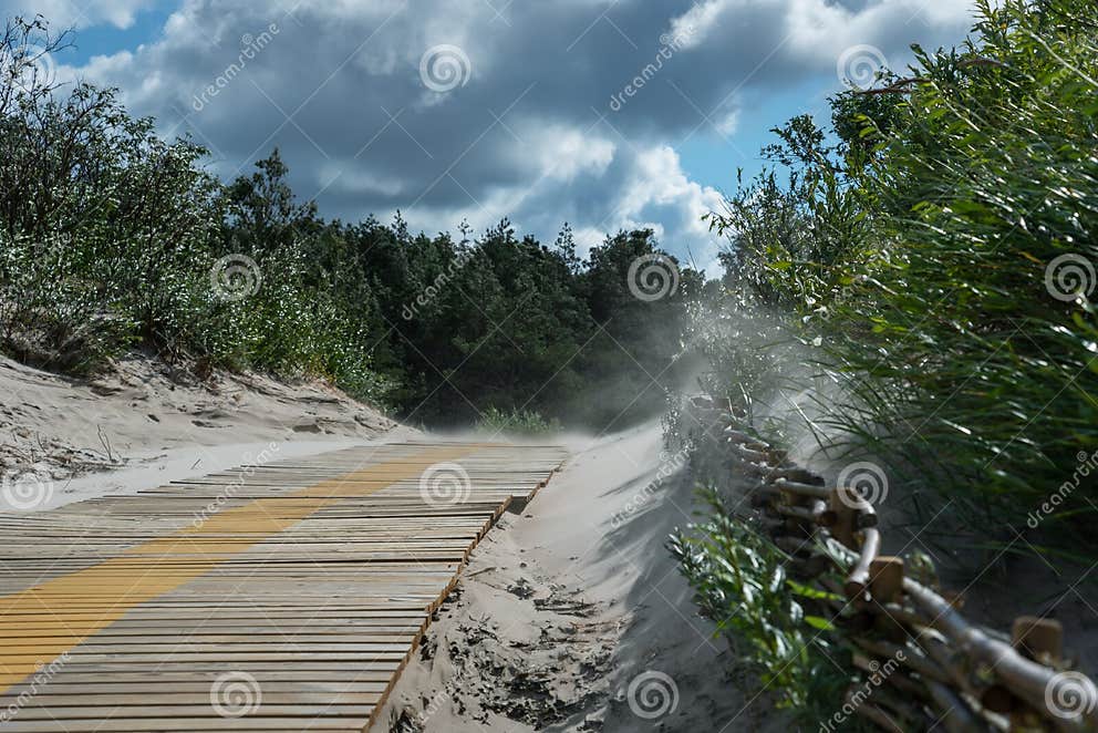 Dune path in a windy day stock photo. Image of pedestrian - 193094932