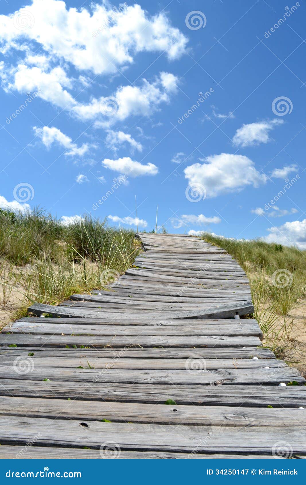 Dune Path stock image. Image of vacation, isolated, beach - 34250147