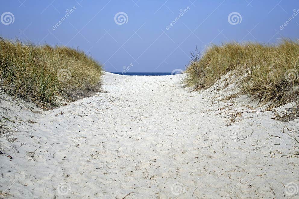 Dune pathway stock photo. Image of footpath, serenity - 2377792