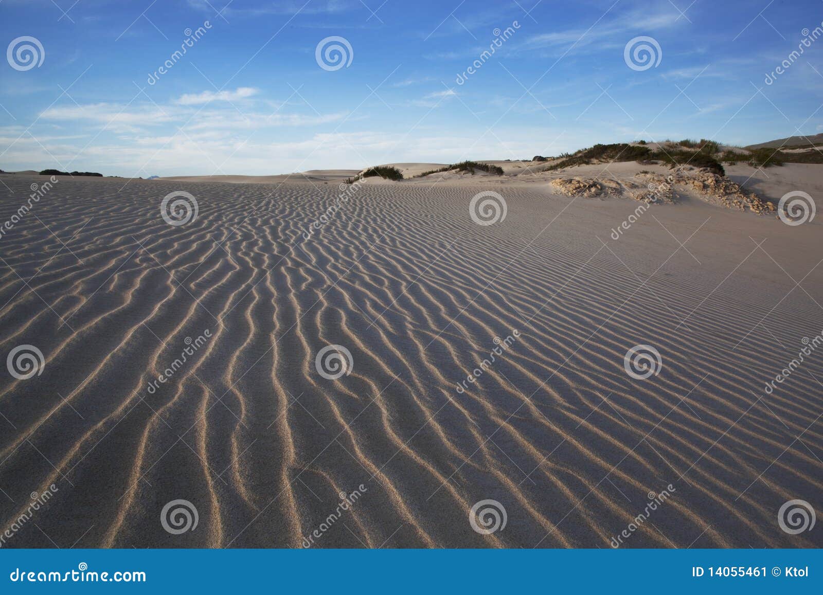 Dune Patterns stock image. Image of grass, dune, bush - 14055461