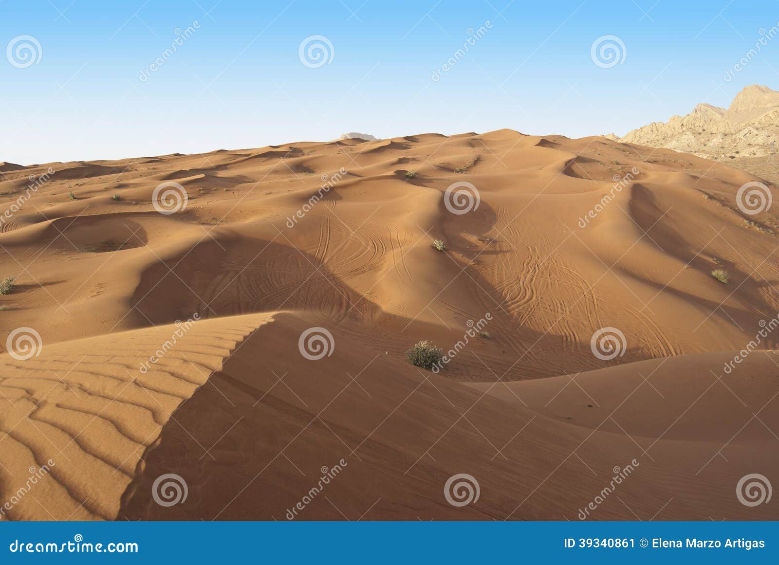 Dune Riding in Arabian Desert Stock Image - Image of landscape, sahara ...